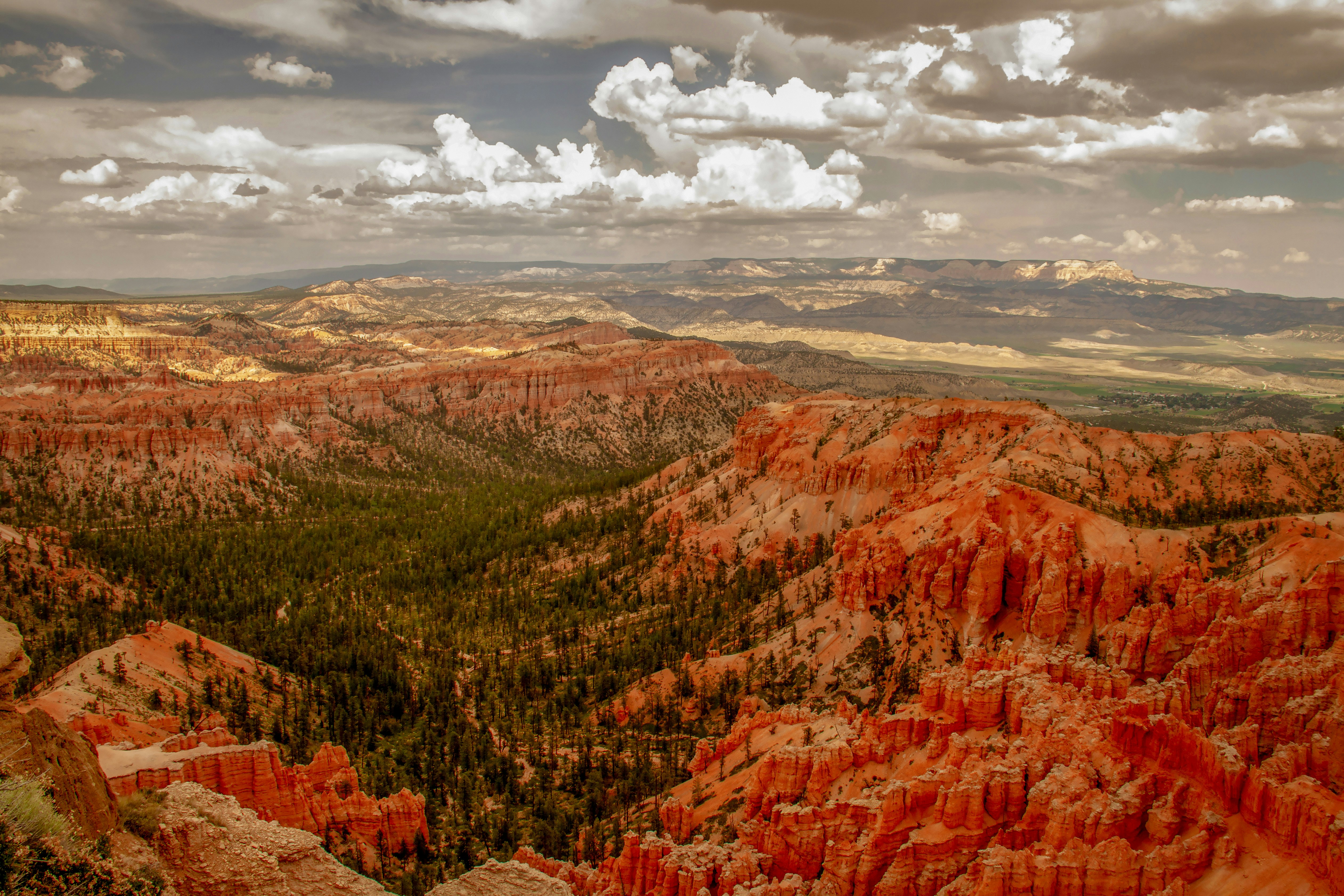 Vast red rock formations and lush green trees create a striking contrast in a canyon landscape under a dramatic sky.