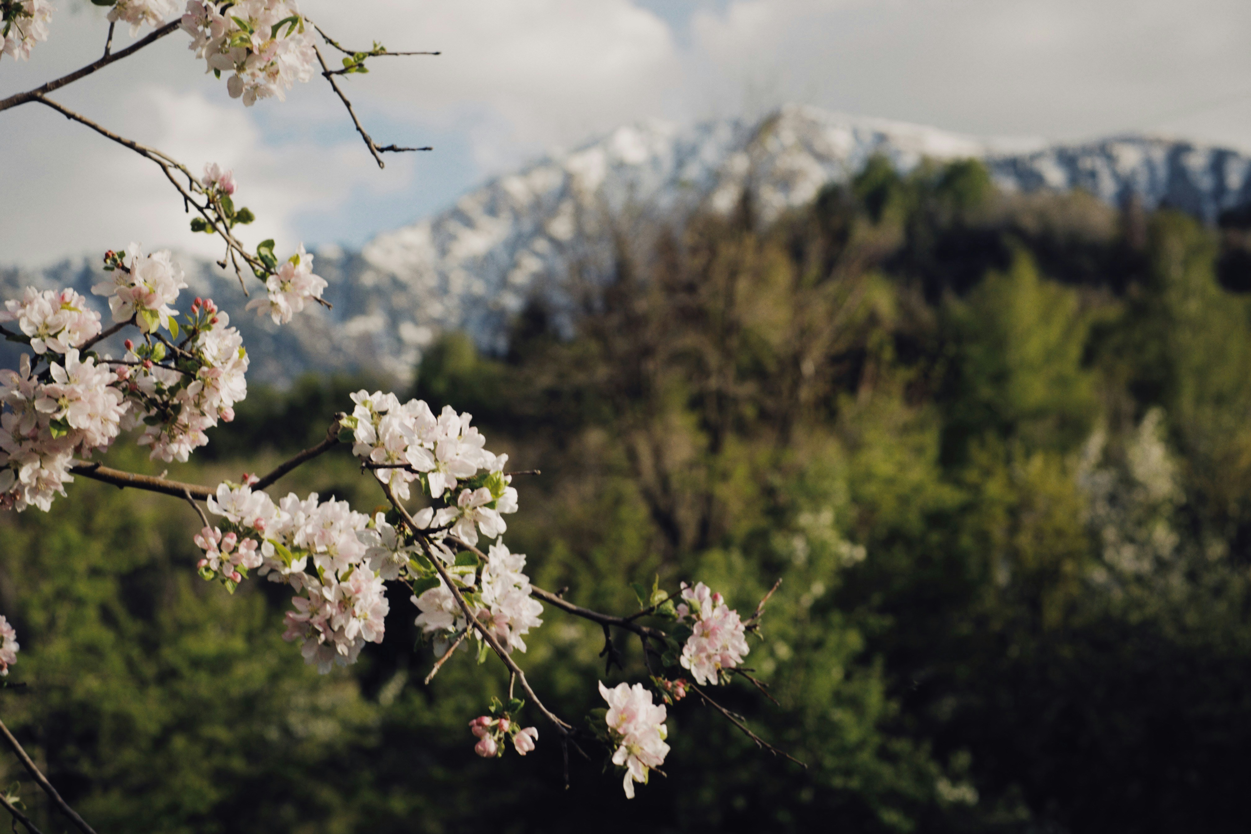 Photo by Alexey Demidov with Canon EOS 5D Mark III