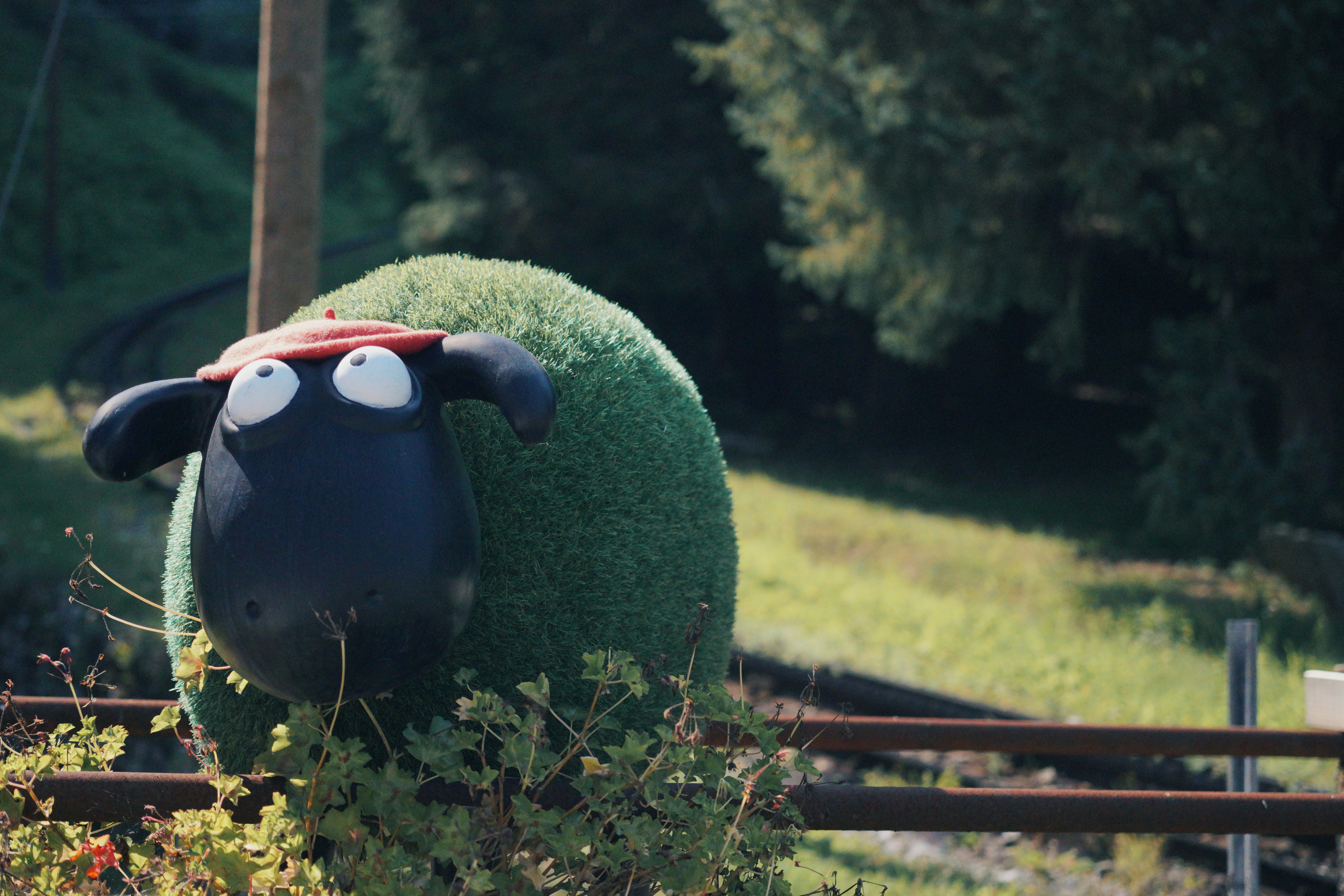 Large cartoon sheep statue peering over a rustic fence in sunlit countryside