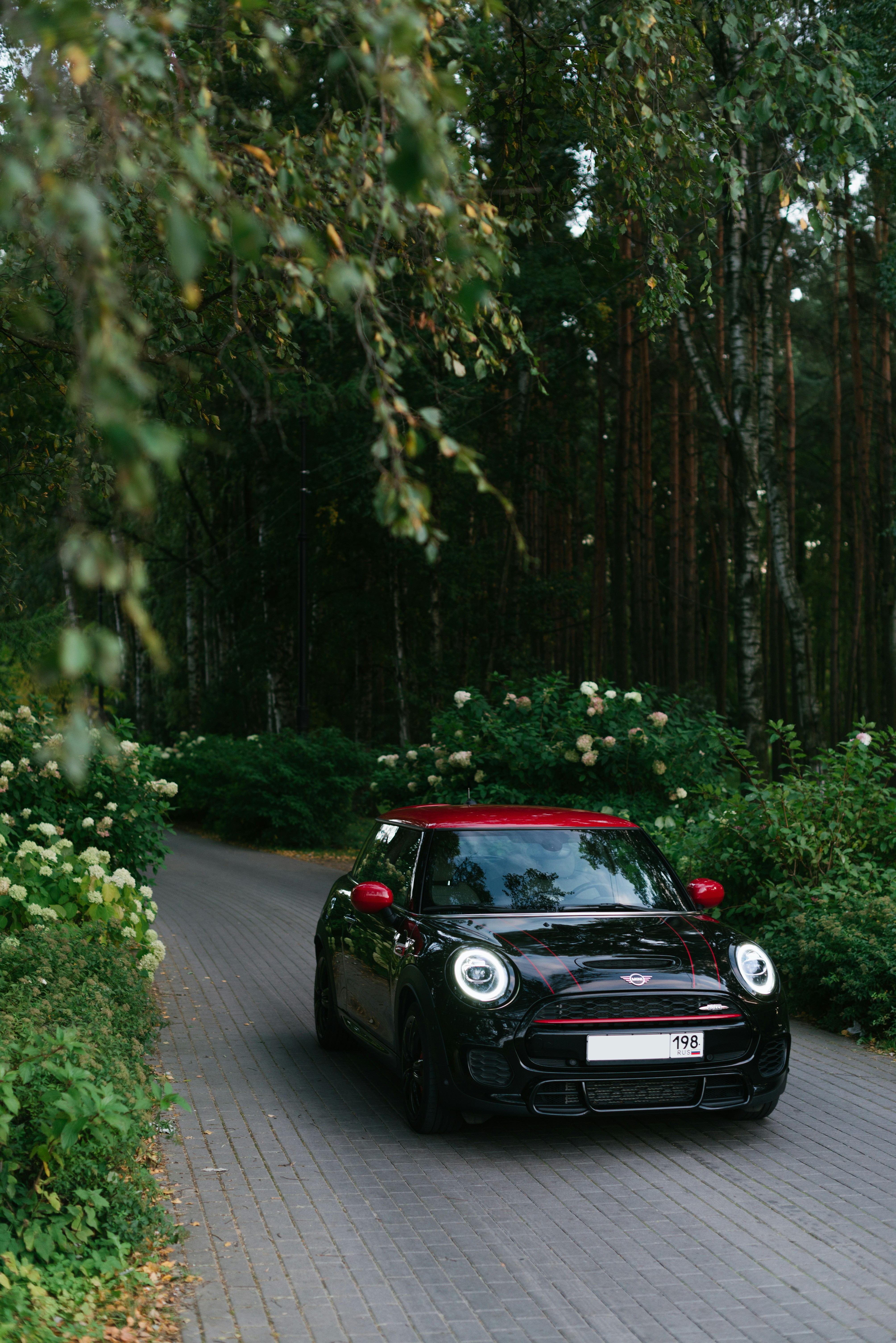 A small black car driving down a road photo – Free Крестовский остров ...