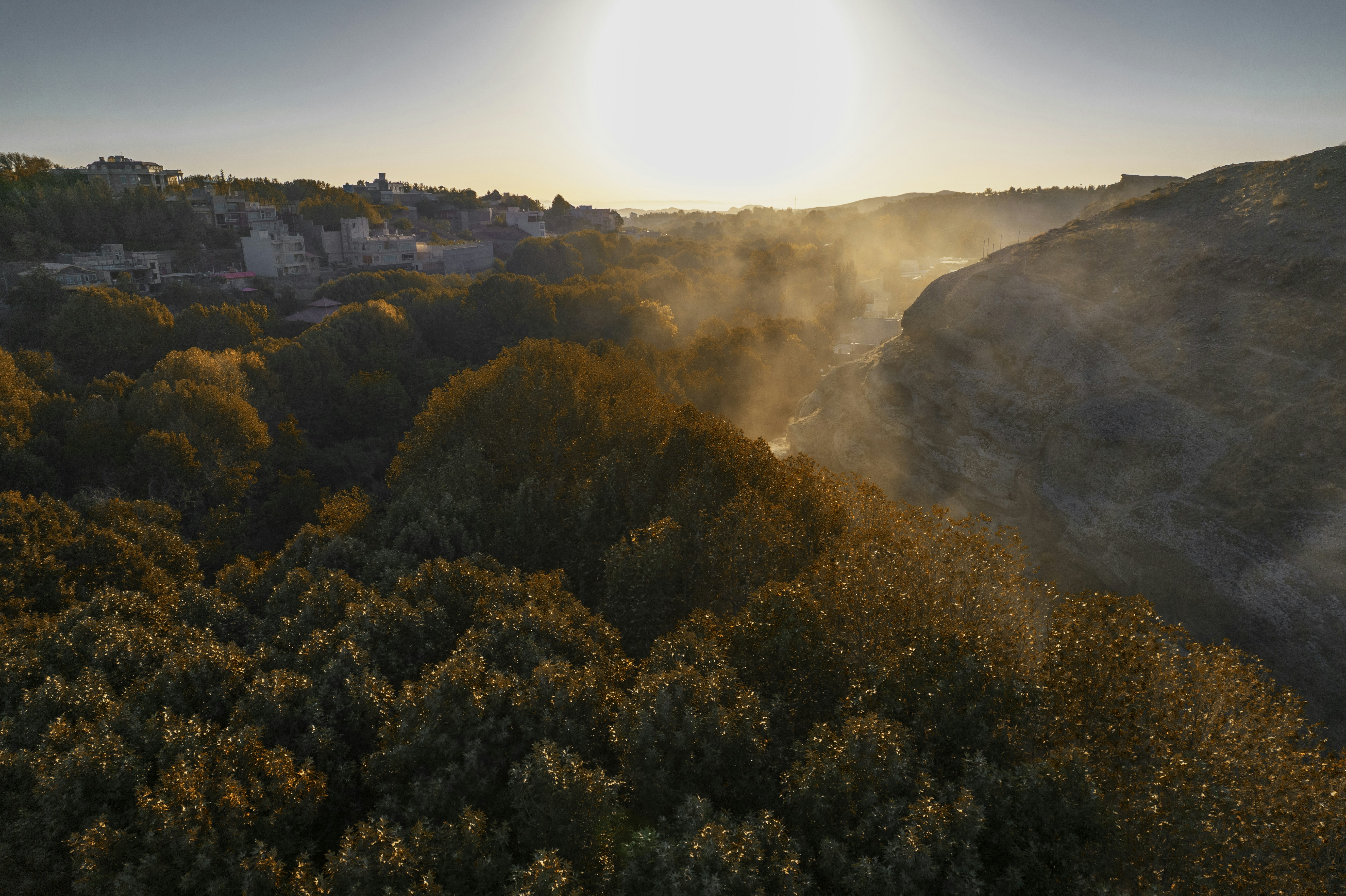 Dawn Veil Over the Hills: Sunlit Mist Weaving Through Autumn Canopy