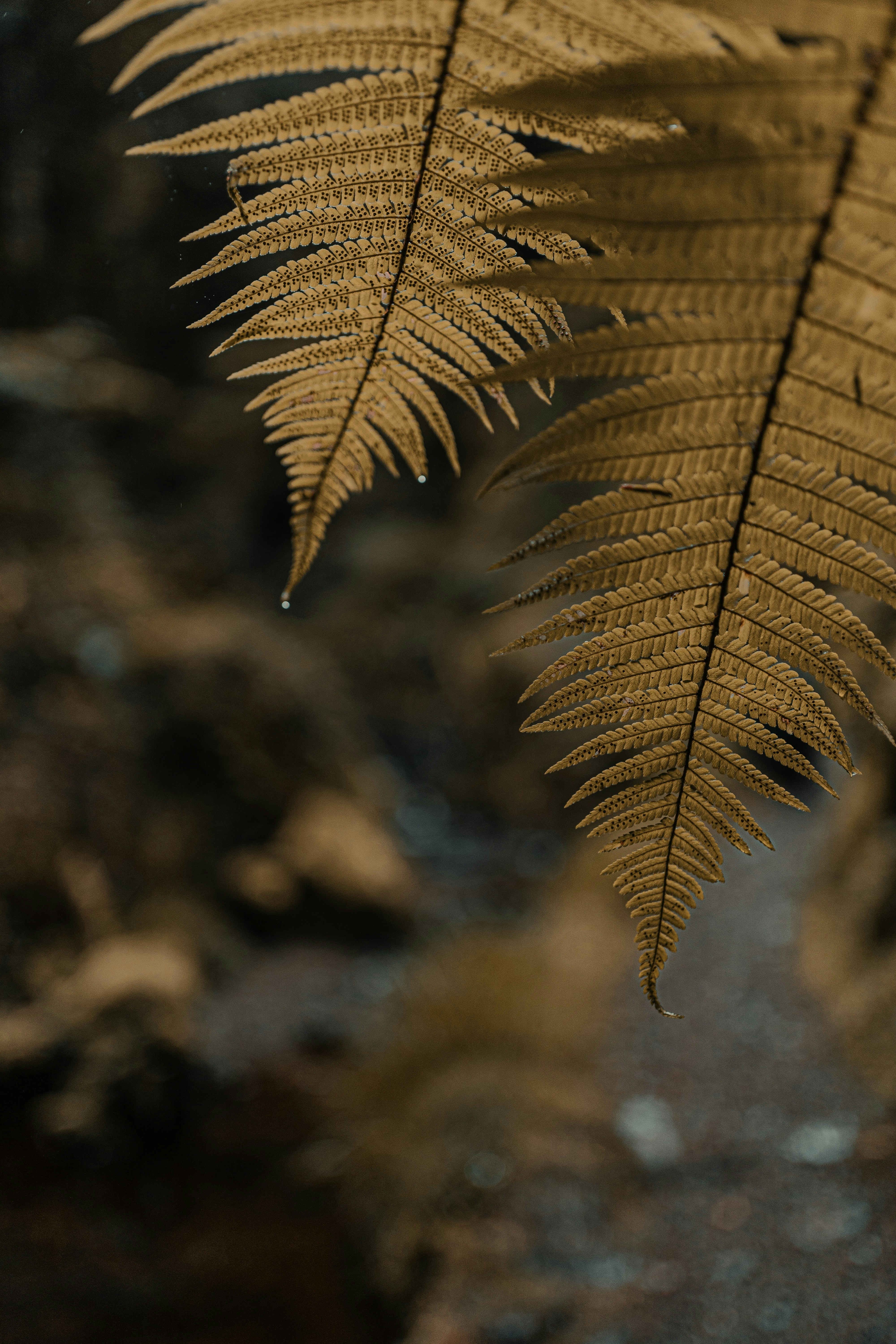 Nathan Mcgregor (@nathnmg) | Unsplash 사진 커뮤니티