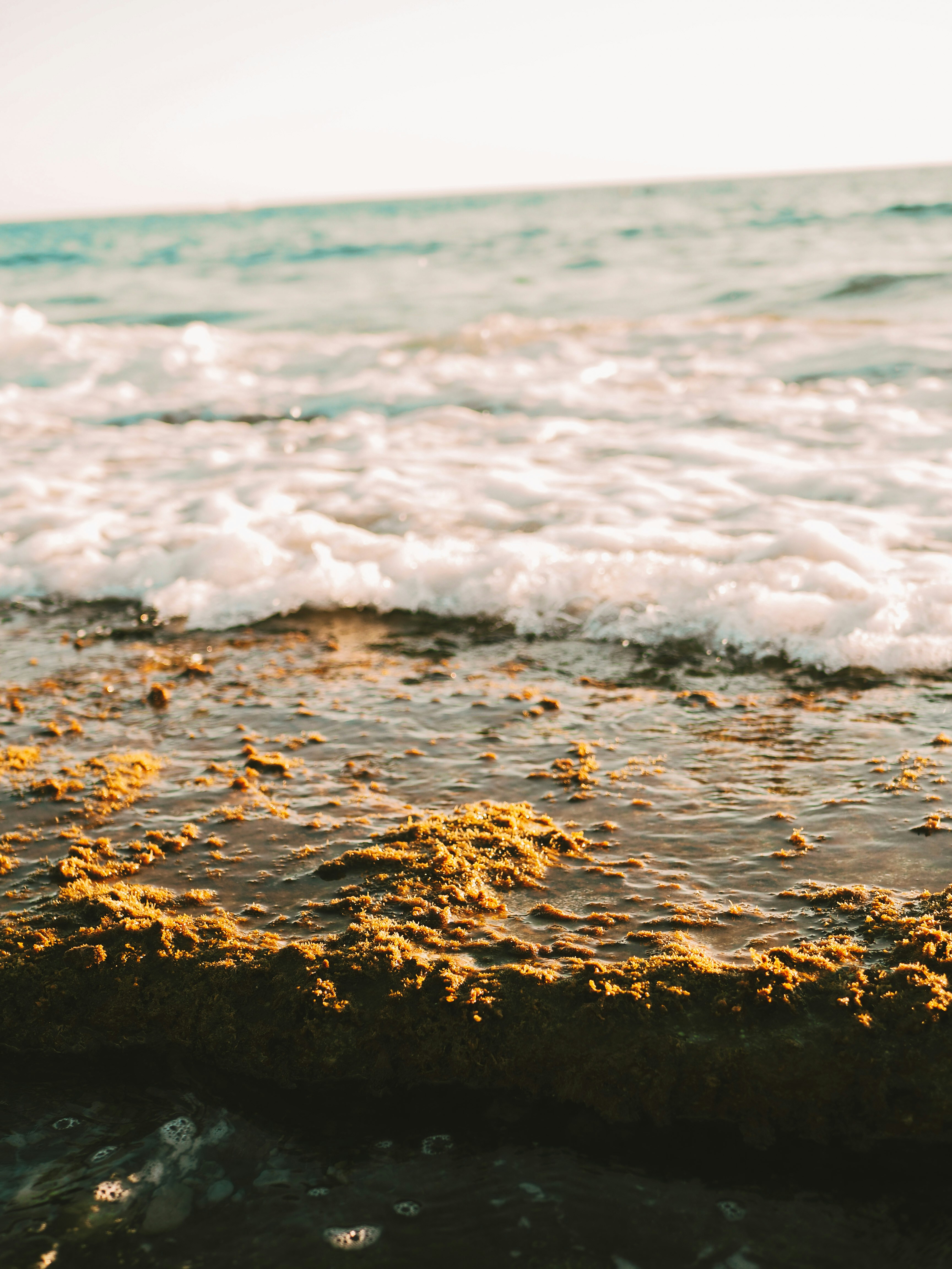 Gilded Tide on a Rugged Shore