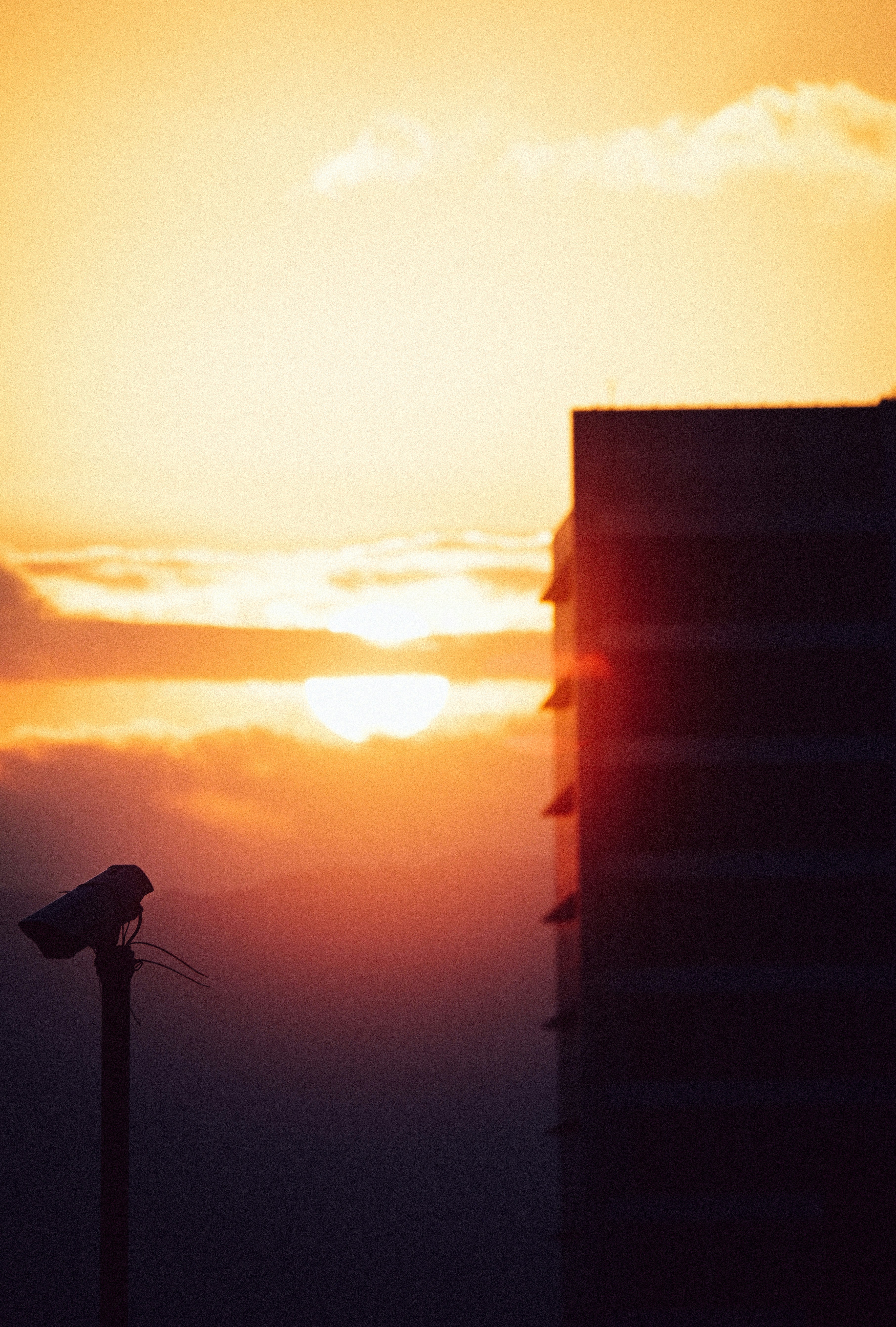 Evening Sentinel: Bird on a Pole Against Sunset and Skyline