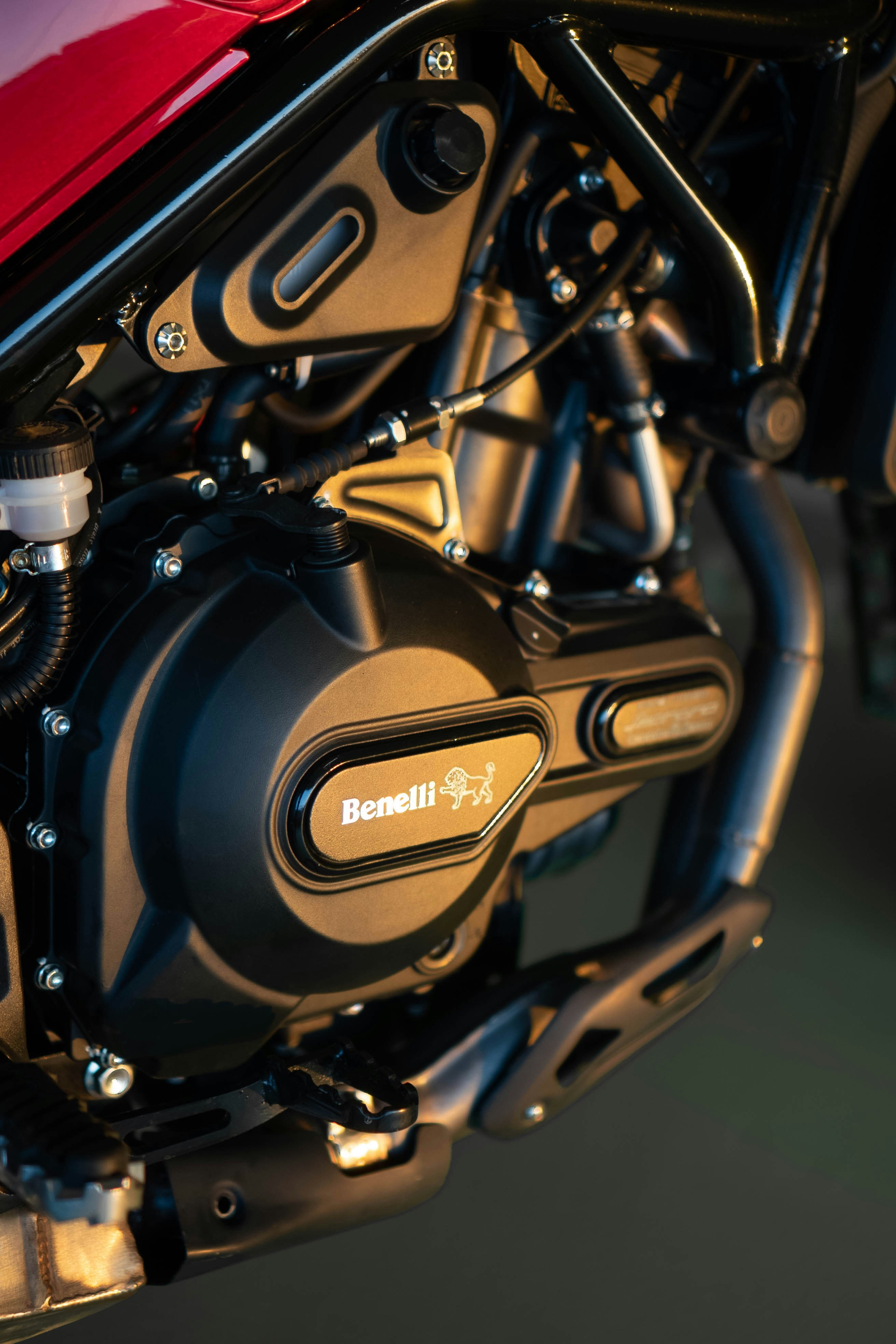 #leoncino #bike | a close up of the engine of a motorcycle