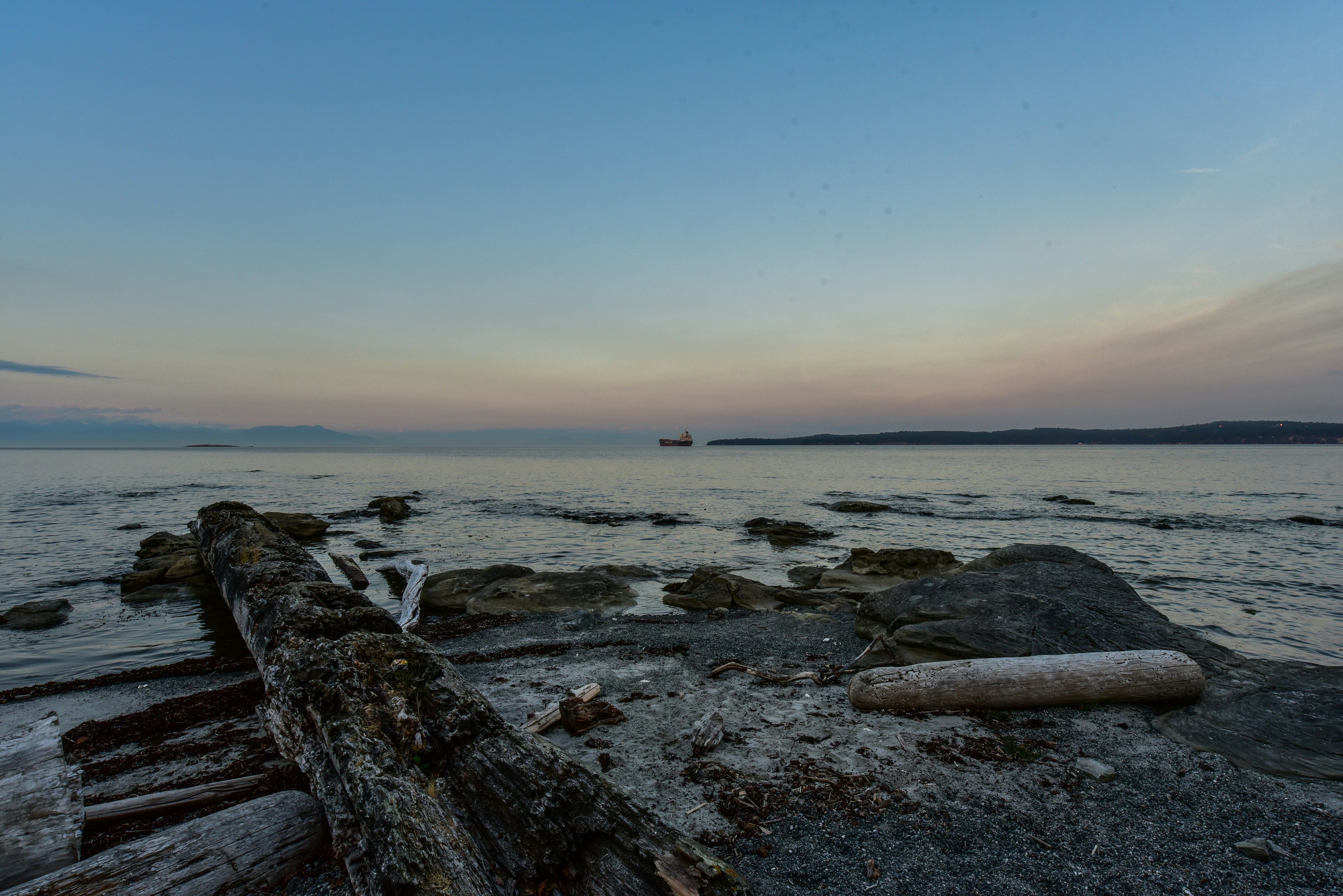 Driftwood-lined beach with gentle waves under a pastel sunset sky.