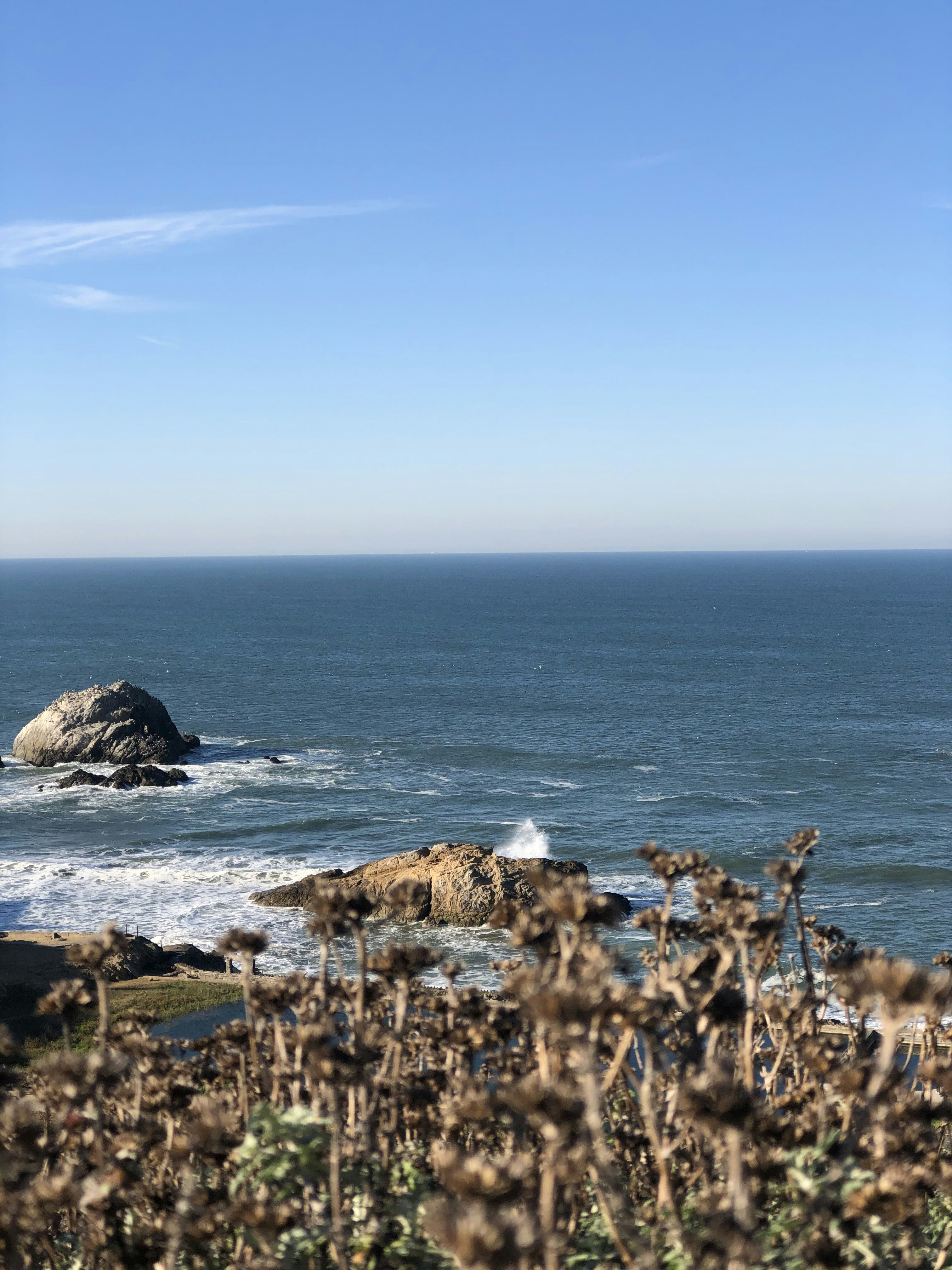 Waves crashing against rocky outcrops under a clear blue sky, framed by dried coastal vegetation.