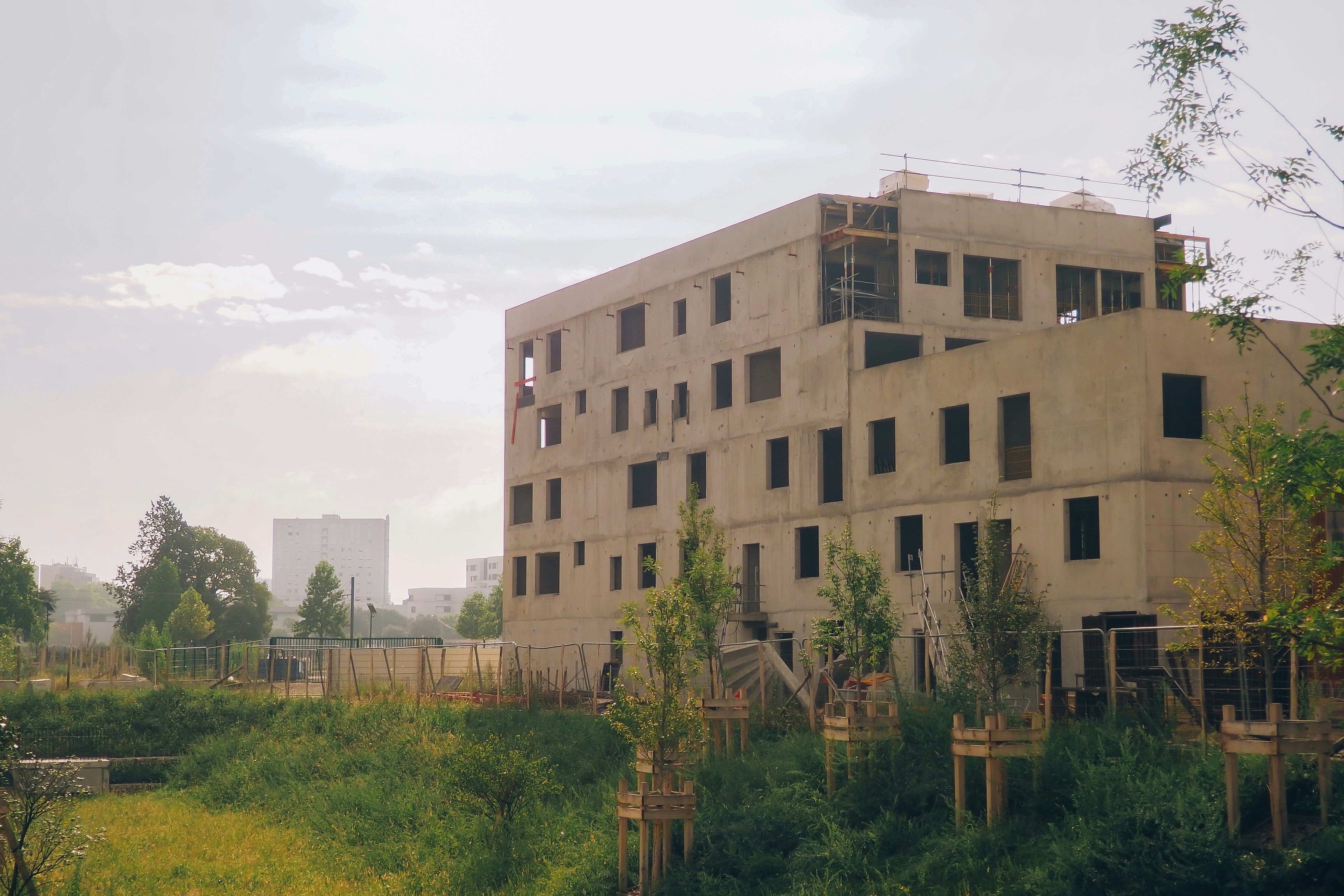 Newly constructed building amidst overgrown greenery, showcasing the intersection of nature and urbanization.