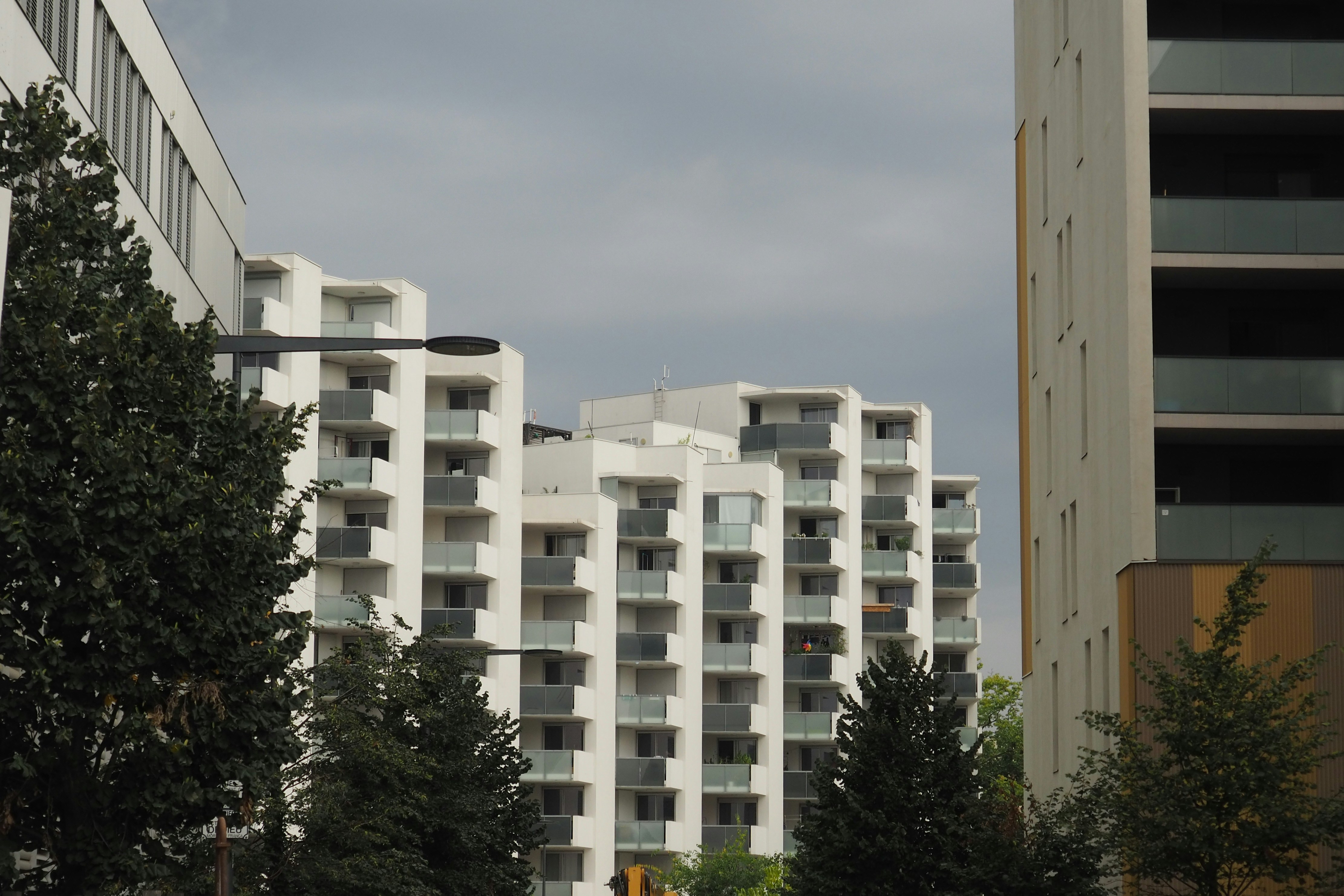 Modern residential buildings framed by lush greenery in an urban setting.