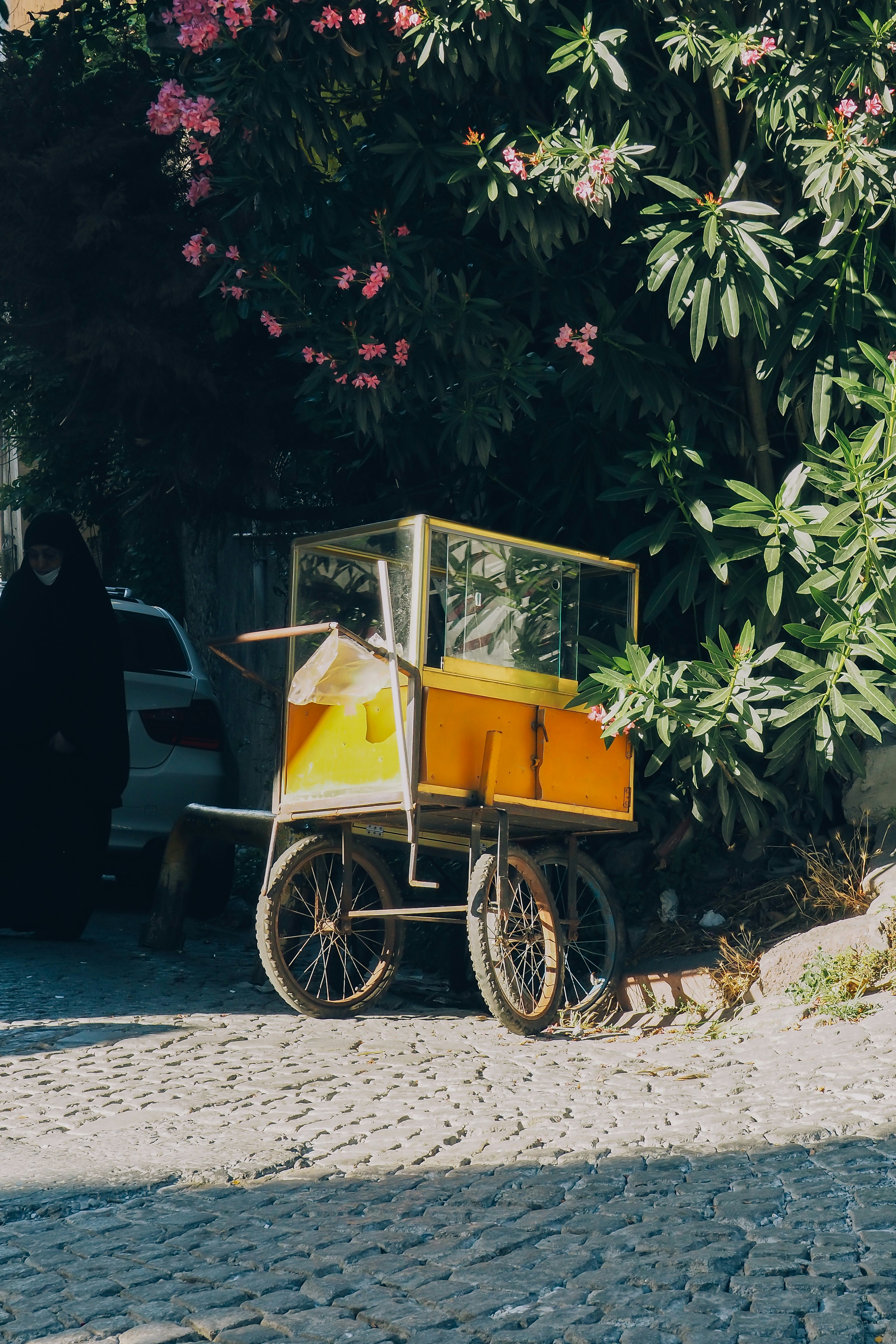 Sunlit Vendor Cart under Verdant Canopy