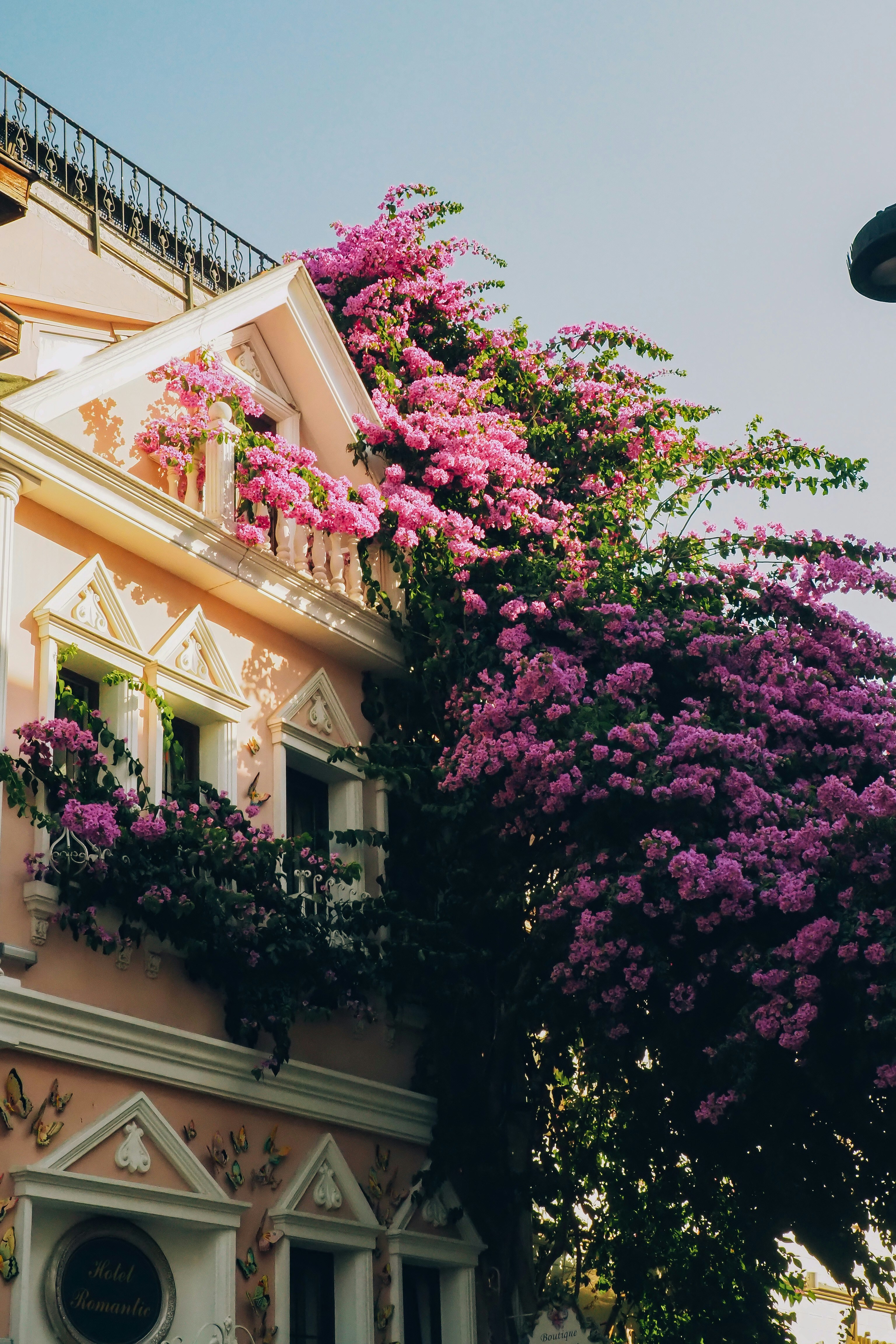 A charming building adorned with vibrant bougainvillea flowers cascading over its facade, showcasing a blend of nature and architecture.