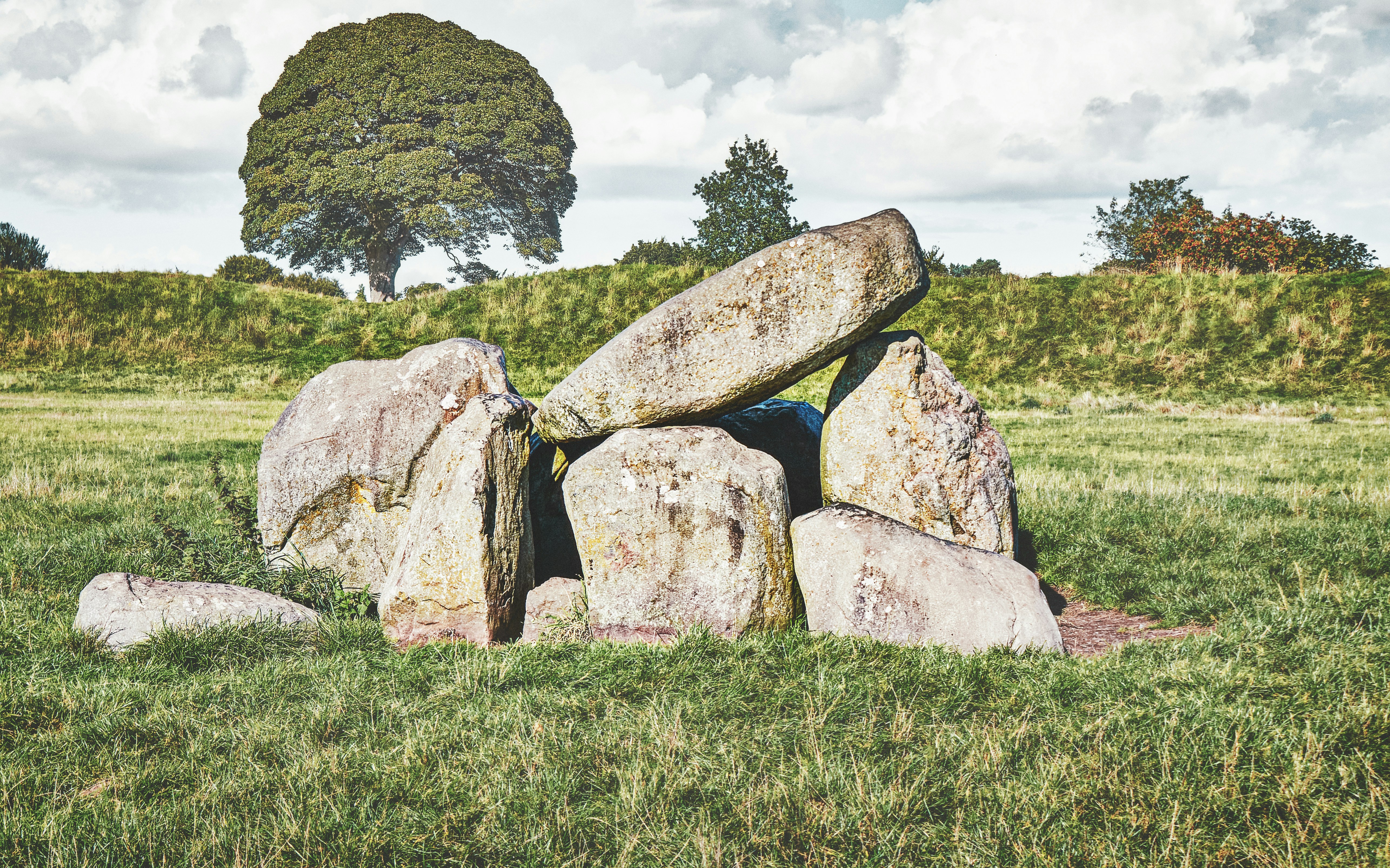 Stone Age Pictures | Download Free Images on Unsplash