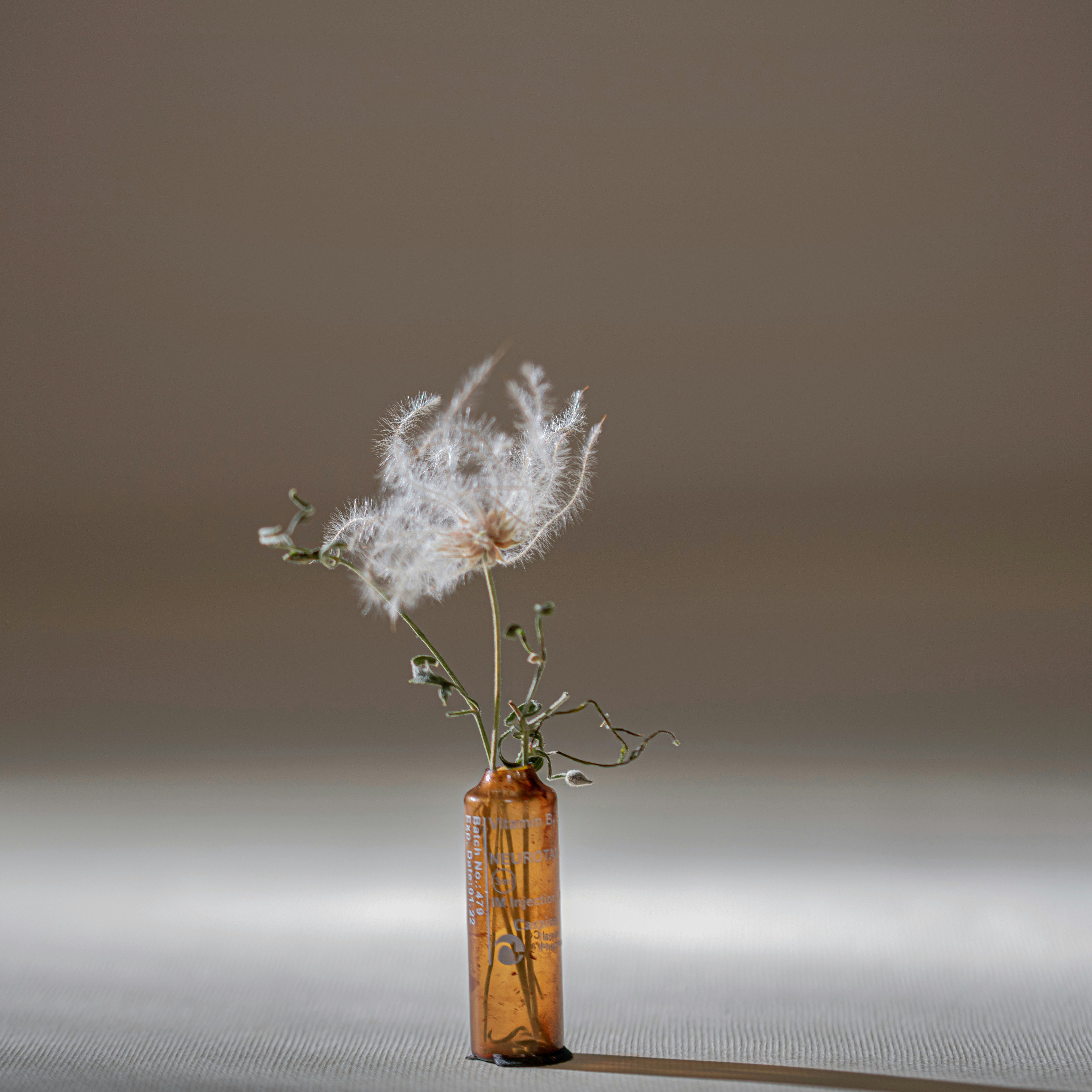 Amber Vessel, Whispering Seedheads