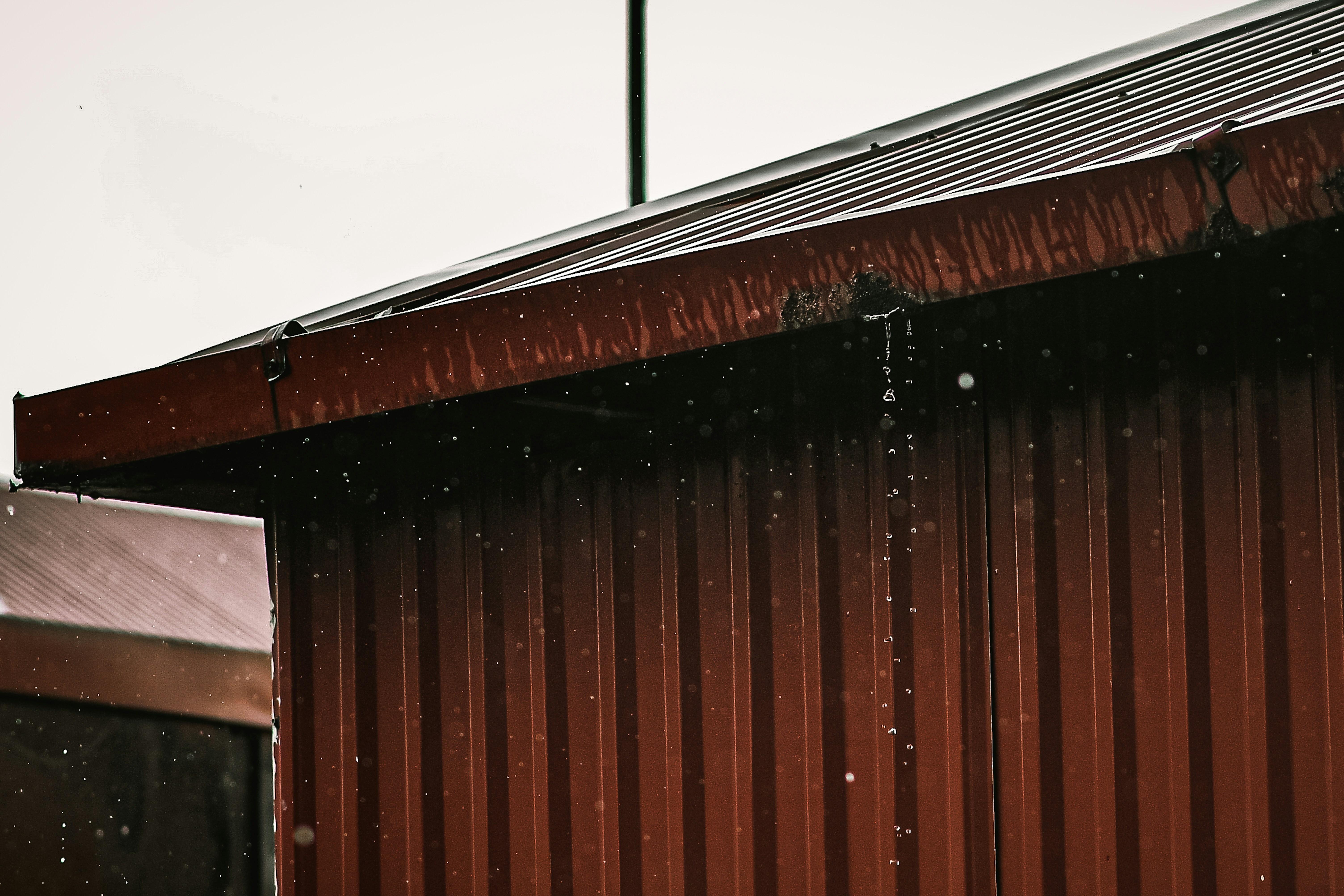 Rain photo shot on Nikon D610