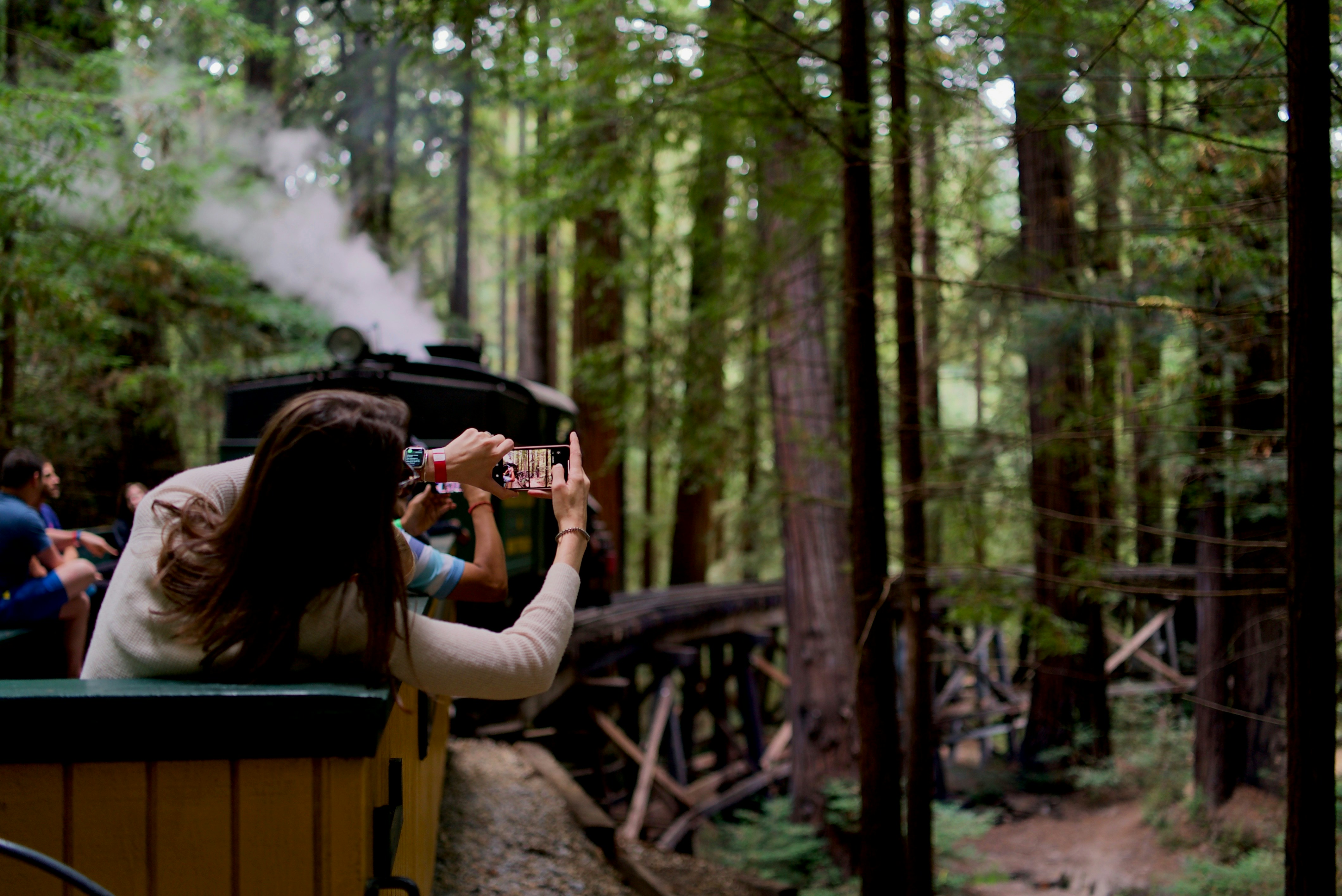 Railyard Steam and Snapshots: A Traveler Captures a Forest Train Ride