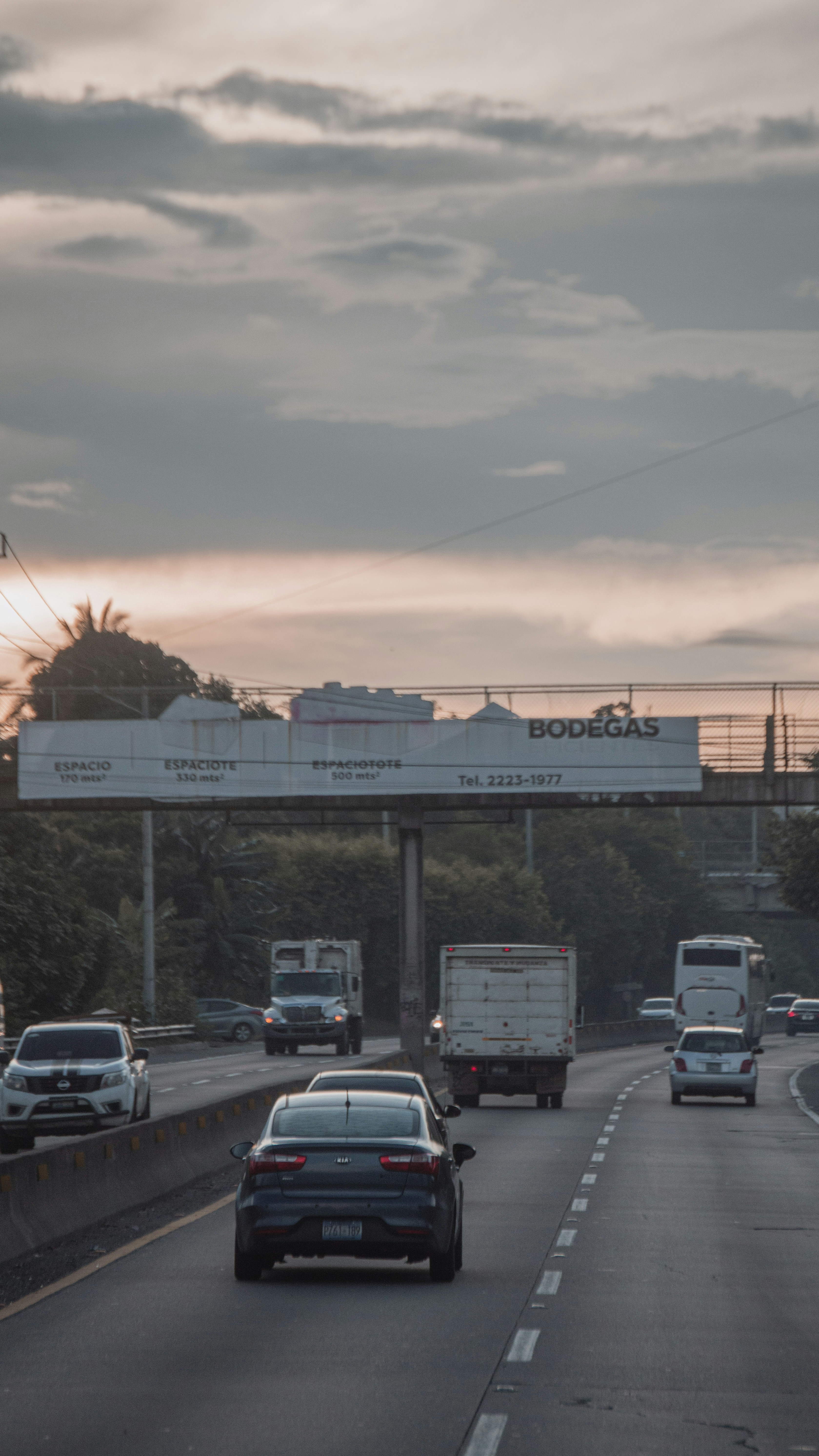A group of cars driving down a highway under a bridge photo – Free San ...