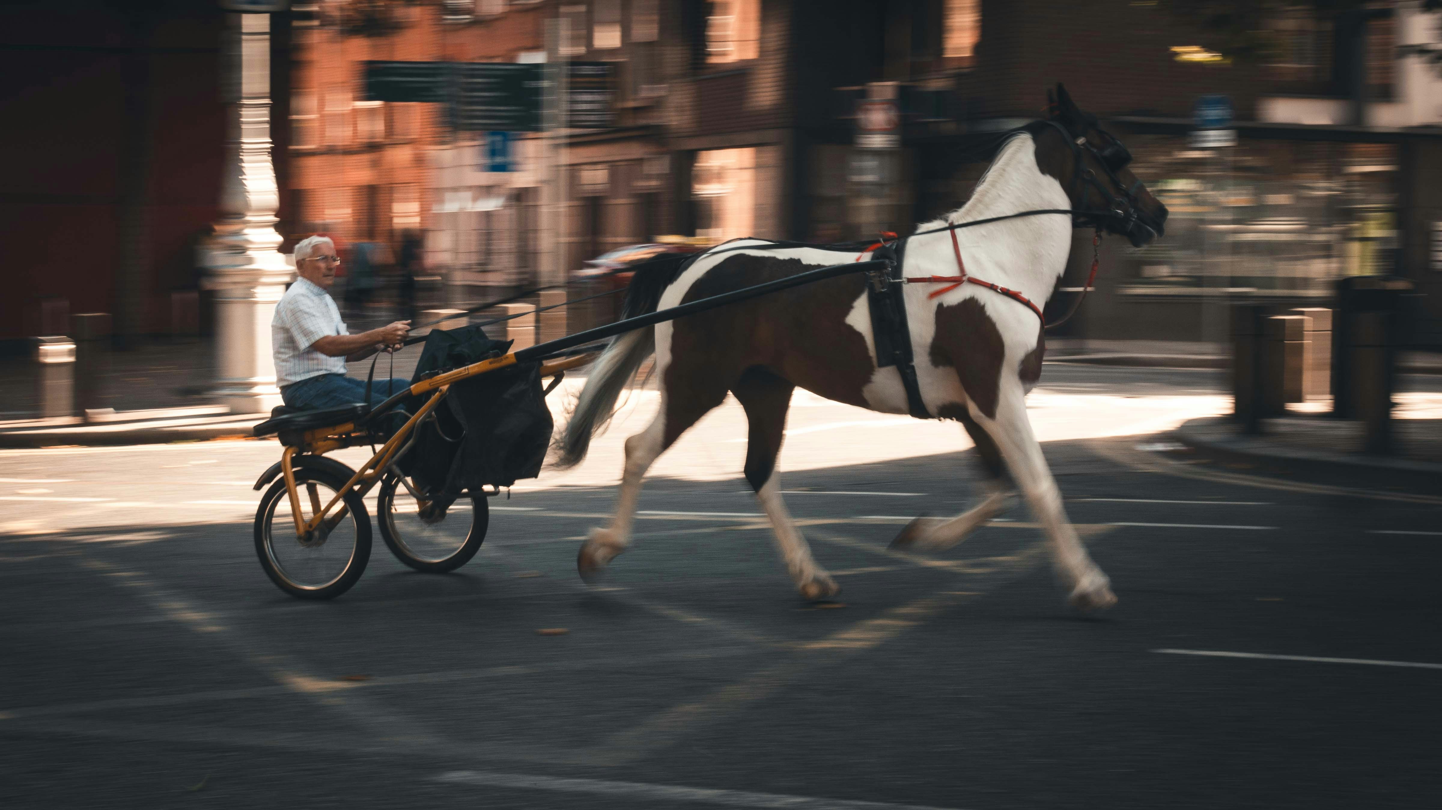 A man riding a horse drawn carriage down a street photo – Free Human ...