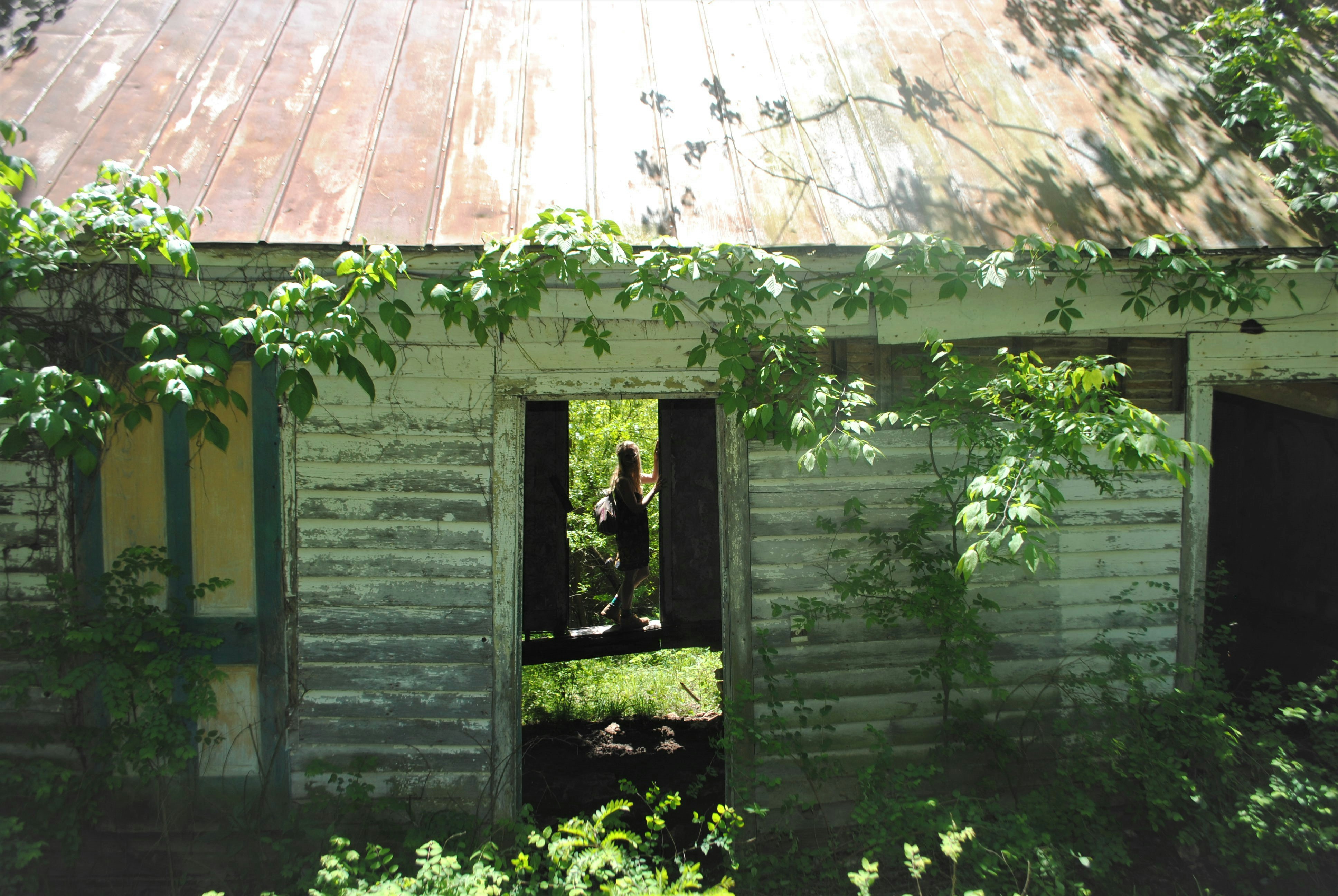 Abandoned structure overtaken by greenery, with a figure framed in the doorway, hinting at stories of the past.