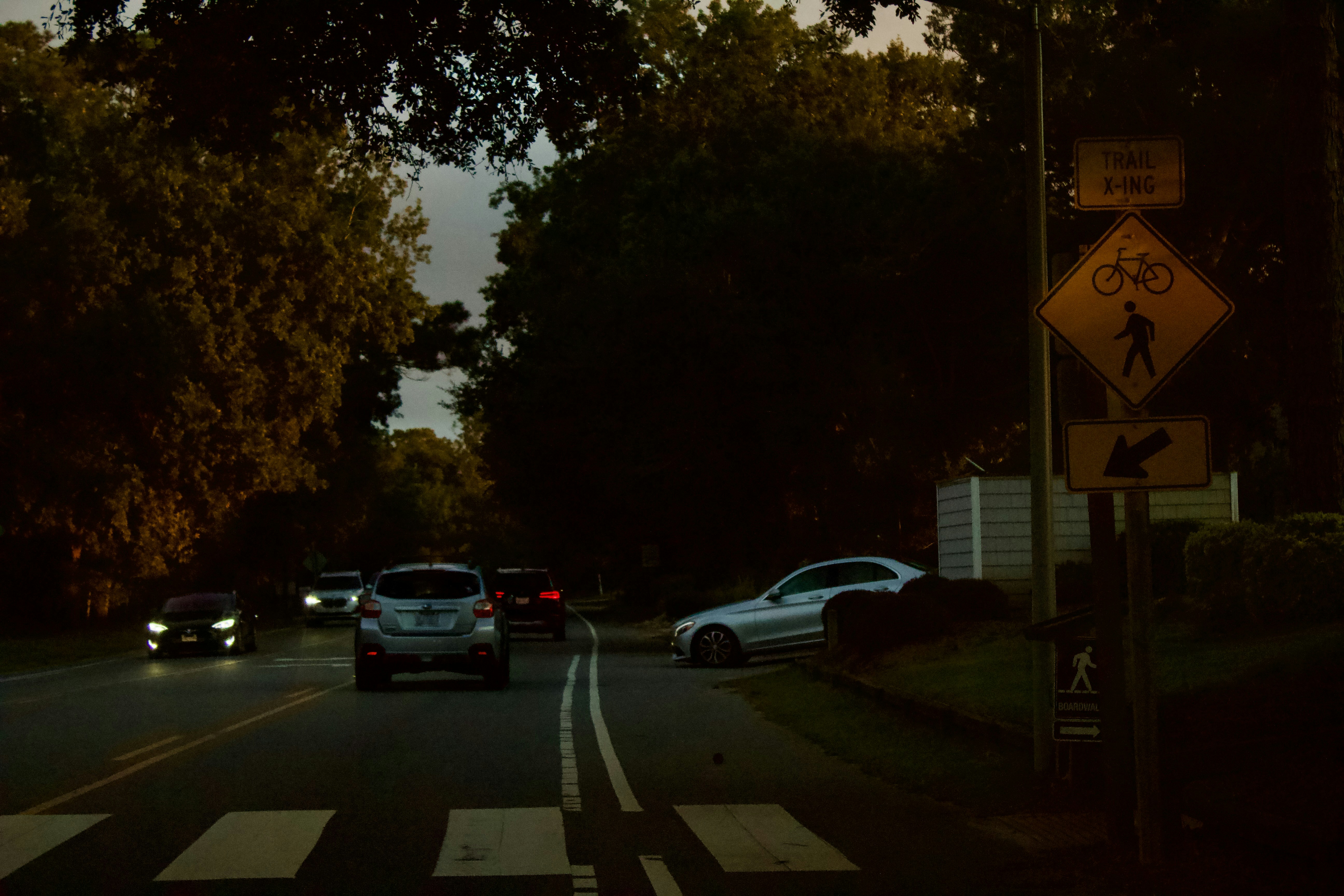 Dusk on a Quiet Street: Tail Lights, Zebra Crosswalk, and a Bicycle Sign