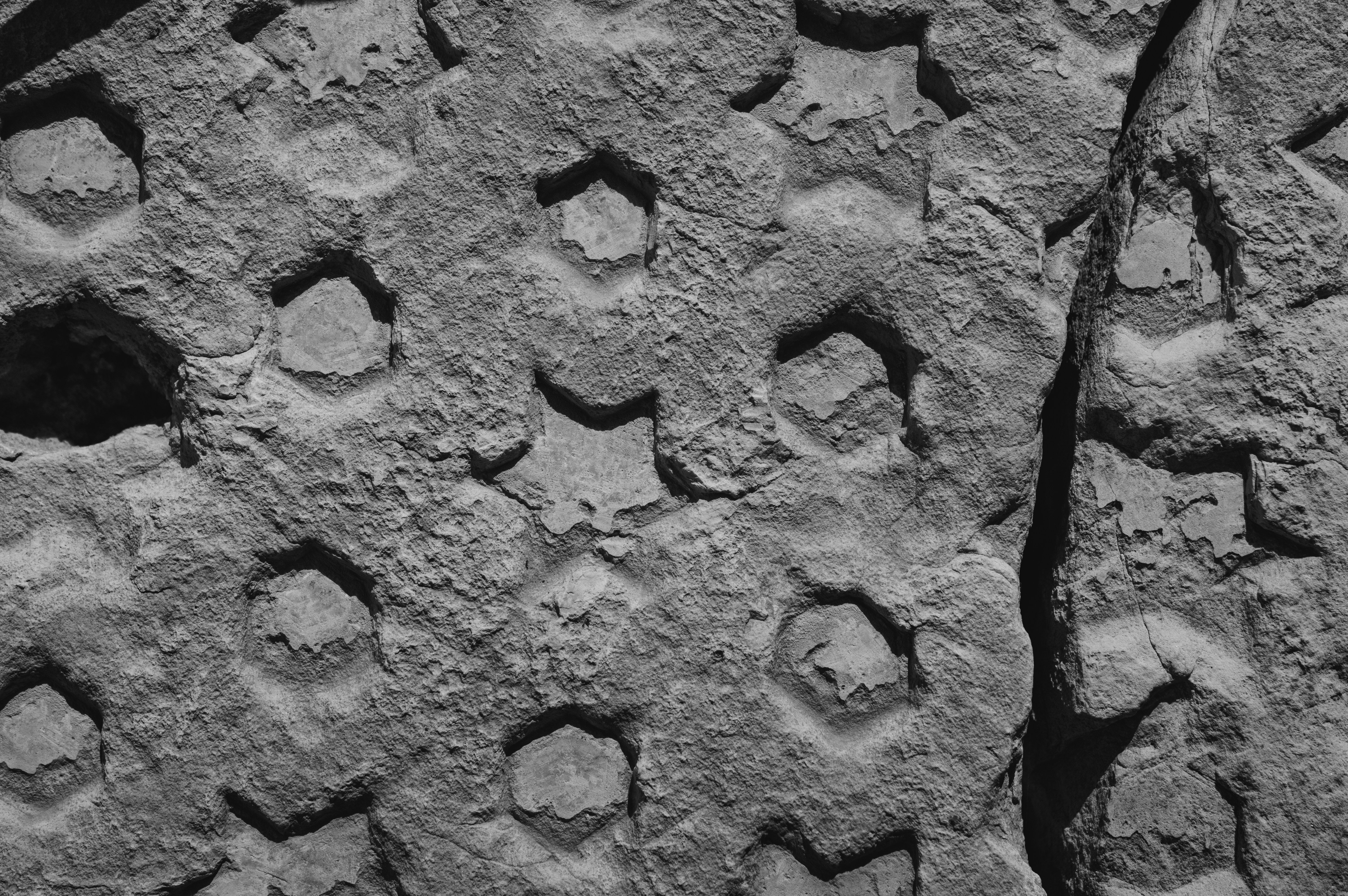 A close up of a rock with holes in it photo – Free Grey Image on Unsplash