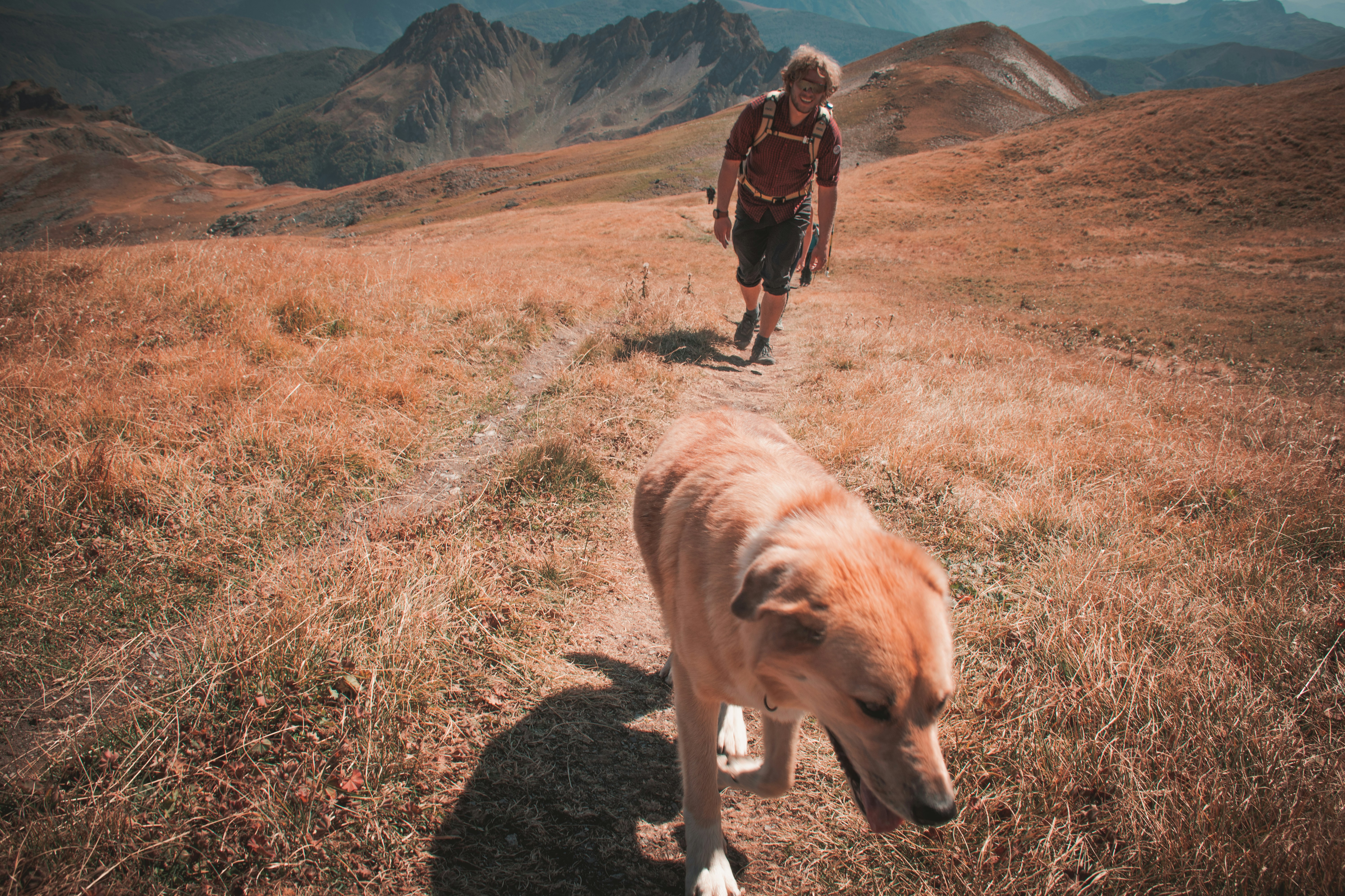 A man walking a dog on a trail in the mountains photo – Free Korab ...