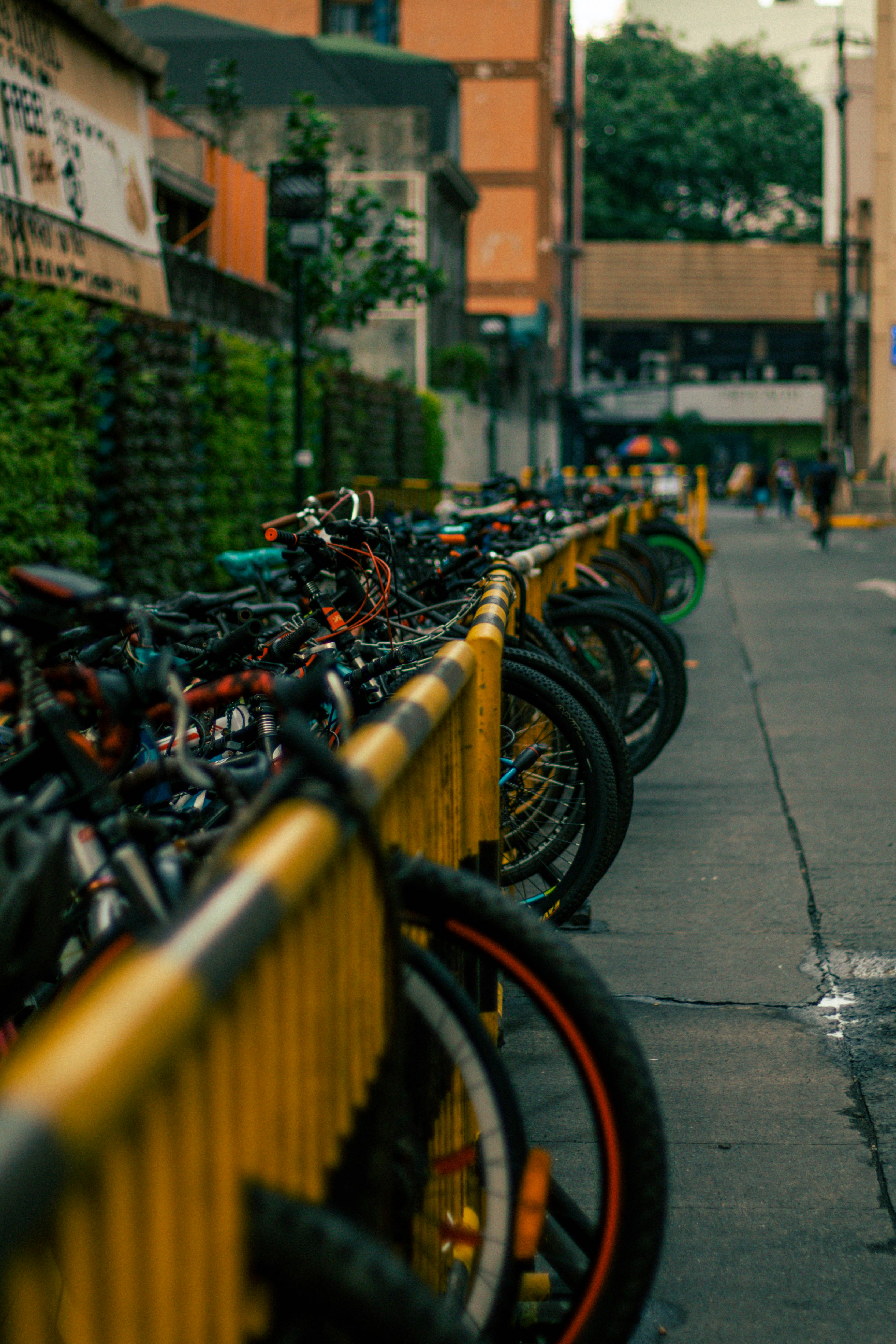 A row of bikes parked on the side of a street photo – Free Bicycle ...