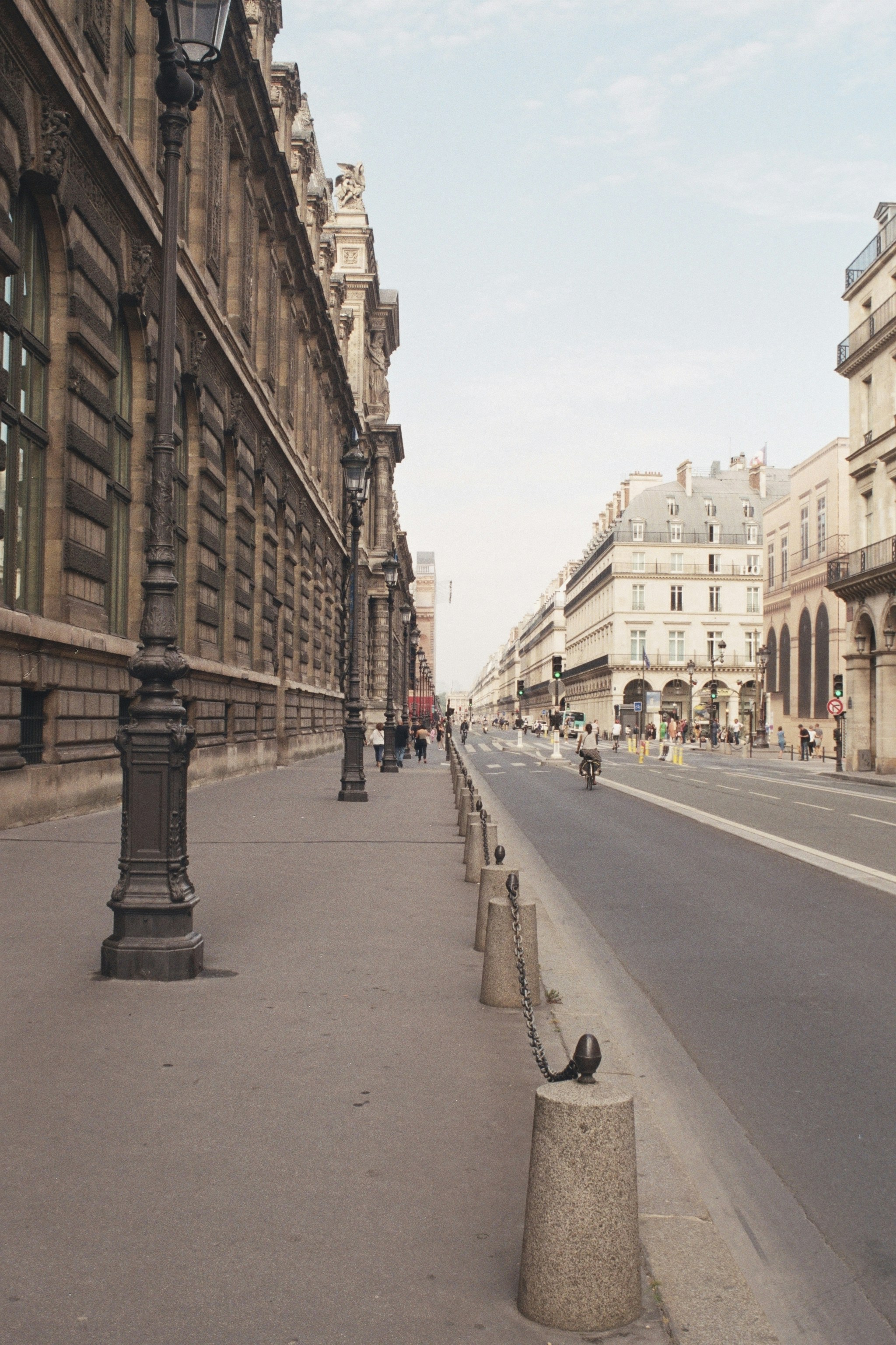 A bird is sitting on the curb of an empty street photo – Free Paris ...