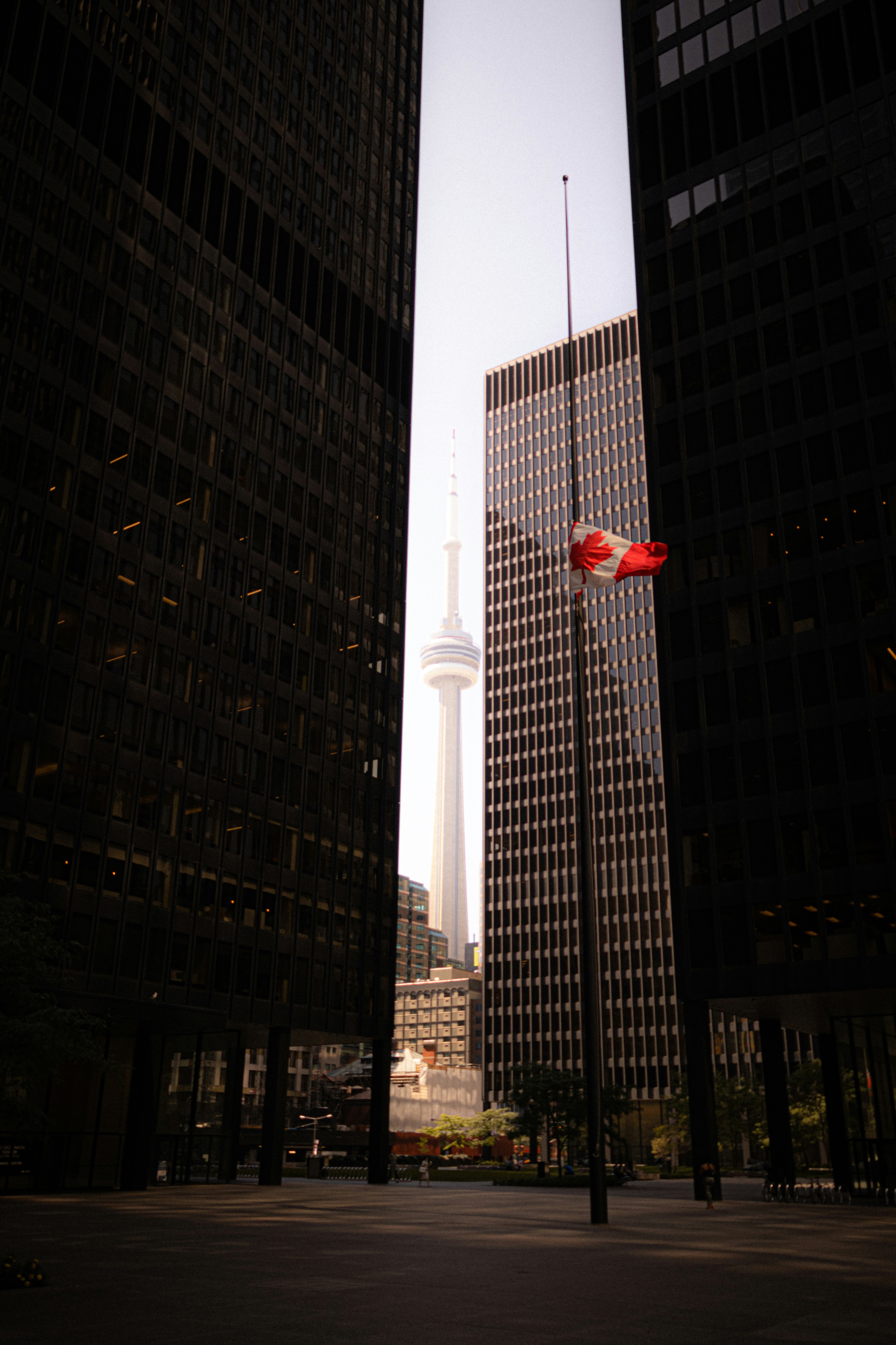 A view of the cn tower from between two buildings photo – Free Downtown ...