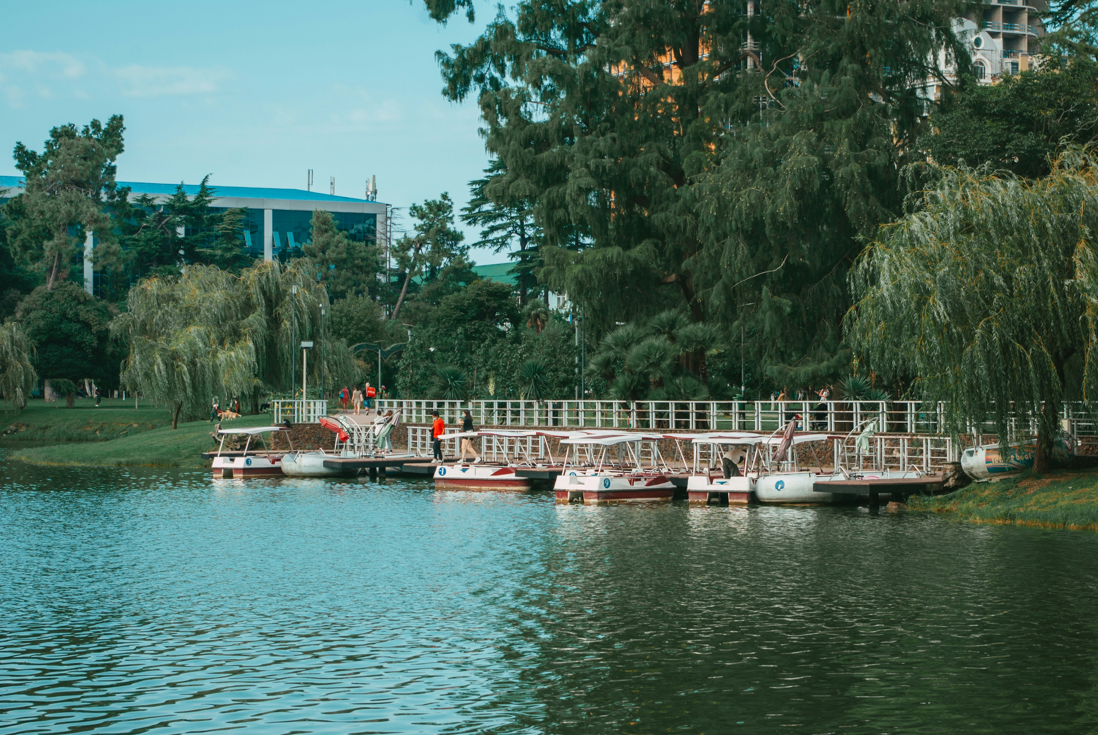 Dockside Pedal Boats at City Park Lakefront