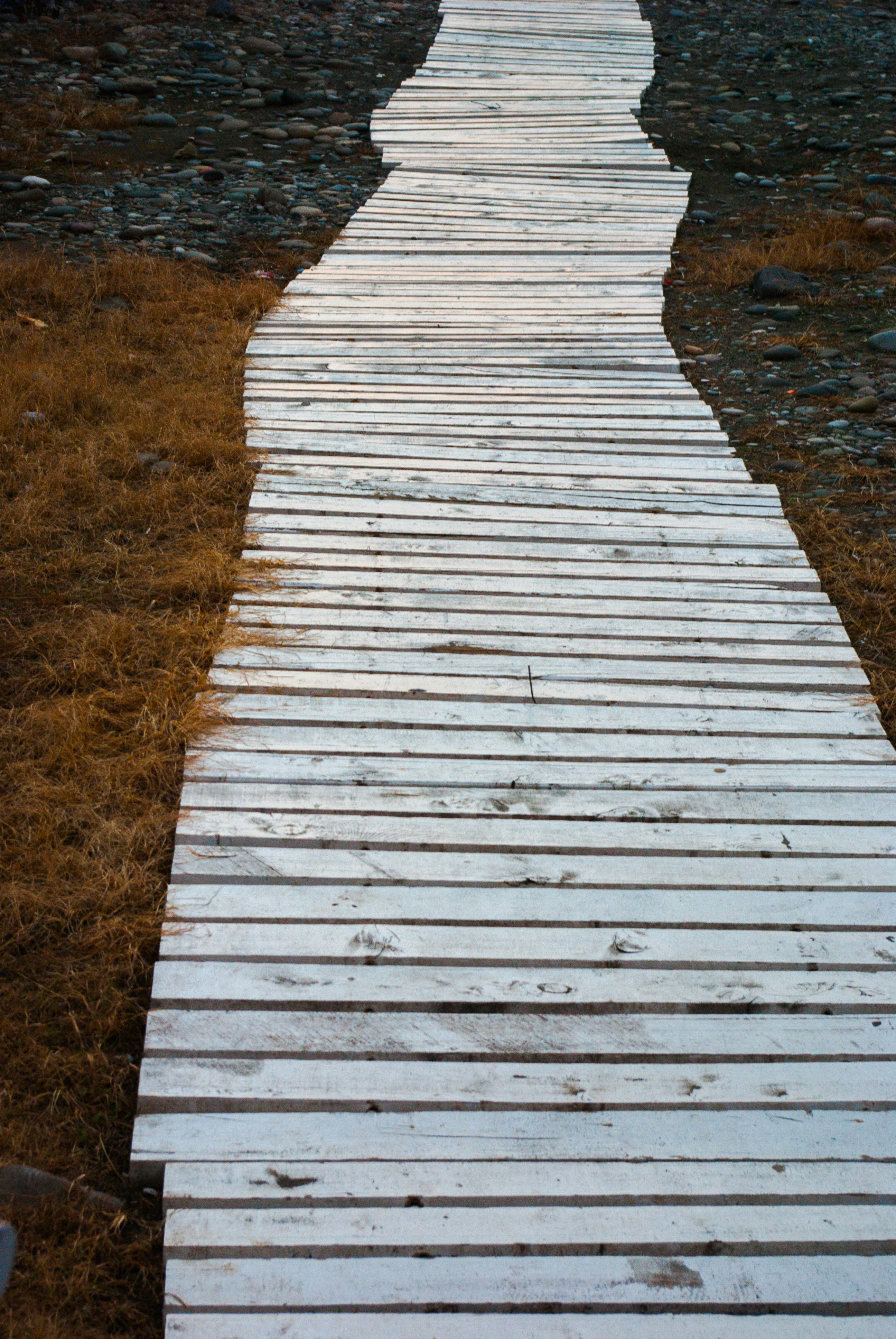 Winding White Slats: A Solitary Boardwalk Across a Rugged Shore