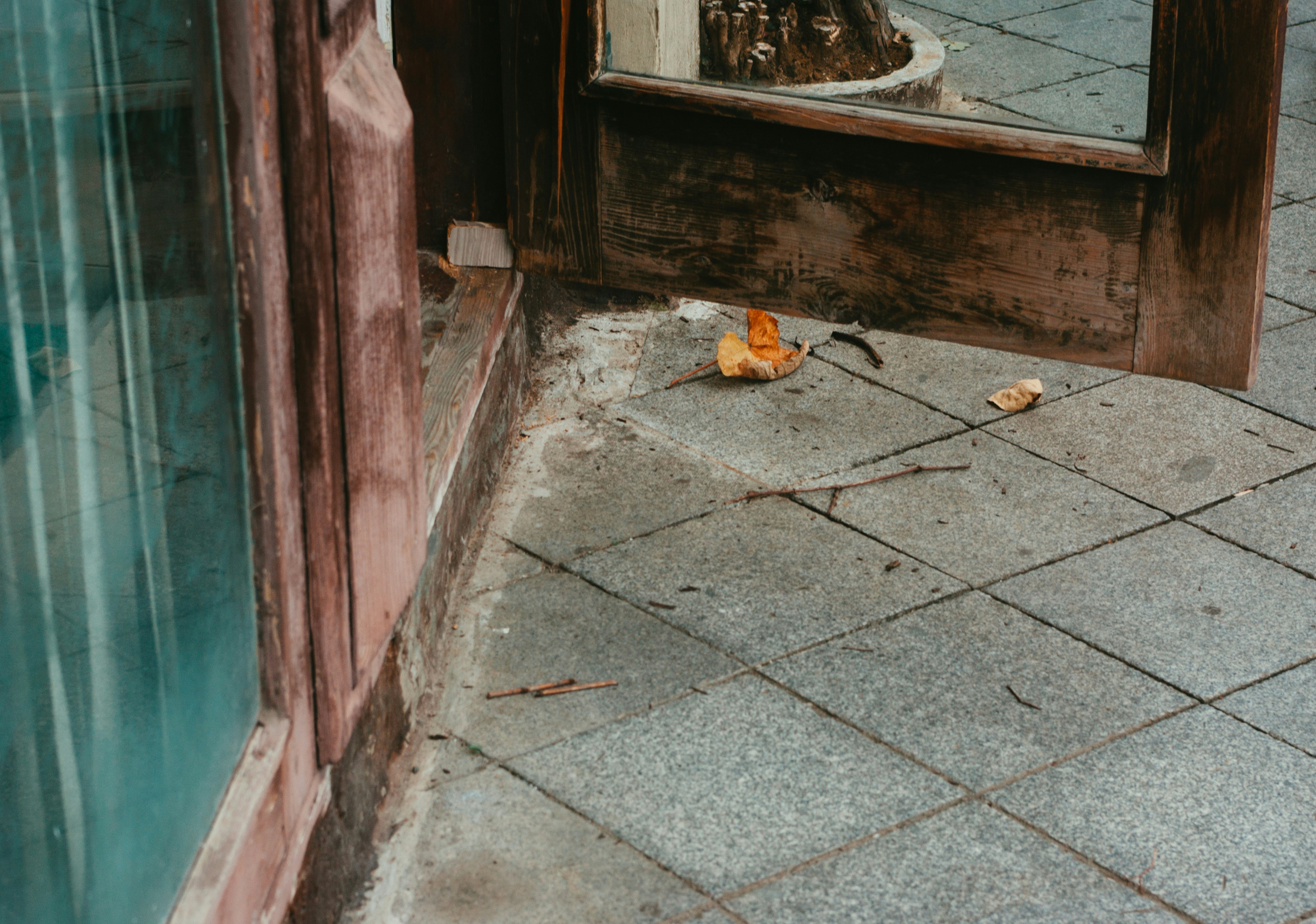 Sunlit street corner with a weathered doorway and a single orange leaf on the stone pavement beside glass storefront.