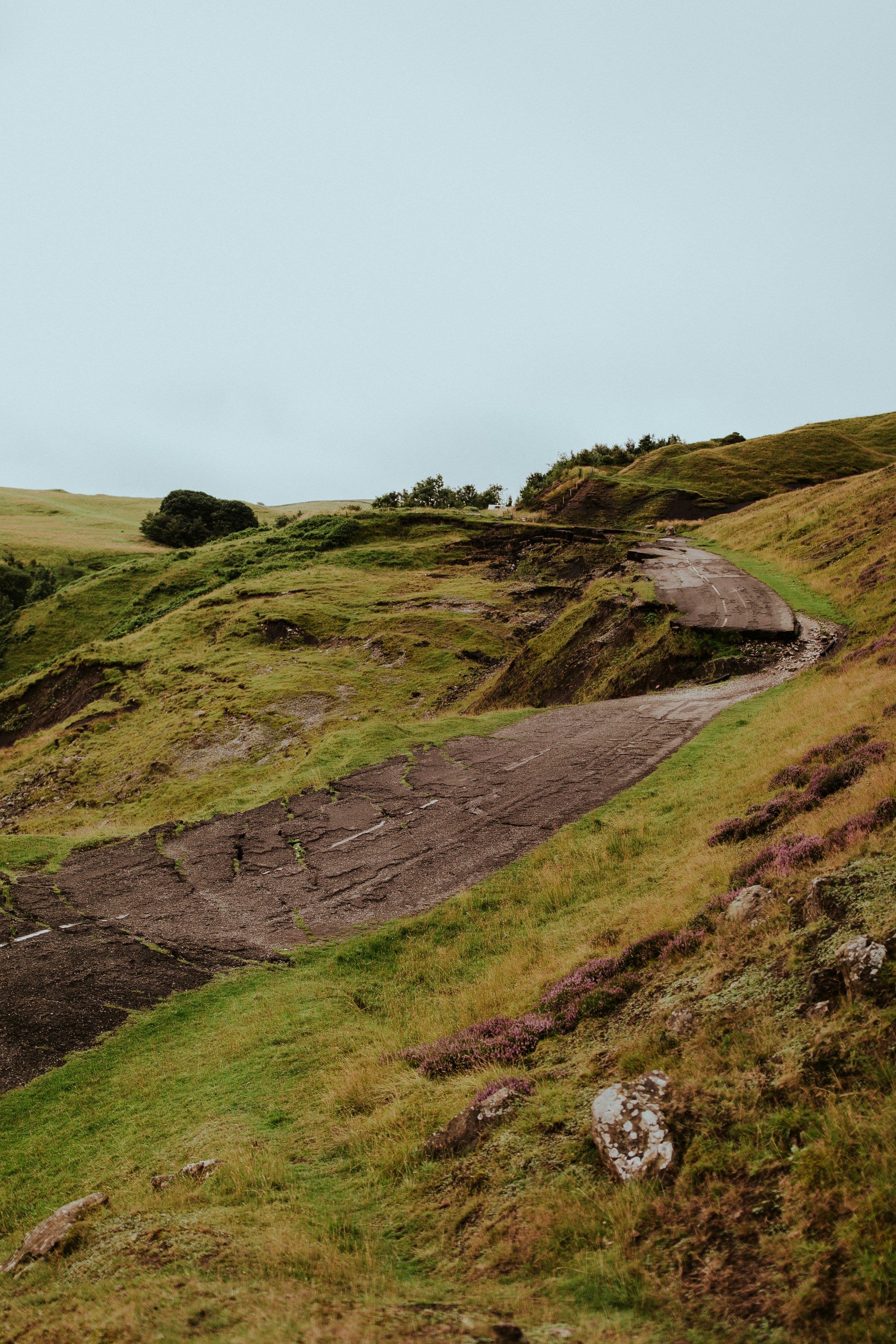 Steven Haddock (@hddddck) | Unsplash 사진 커뮤니티