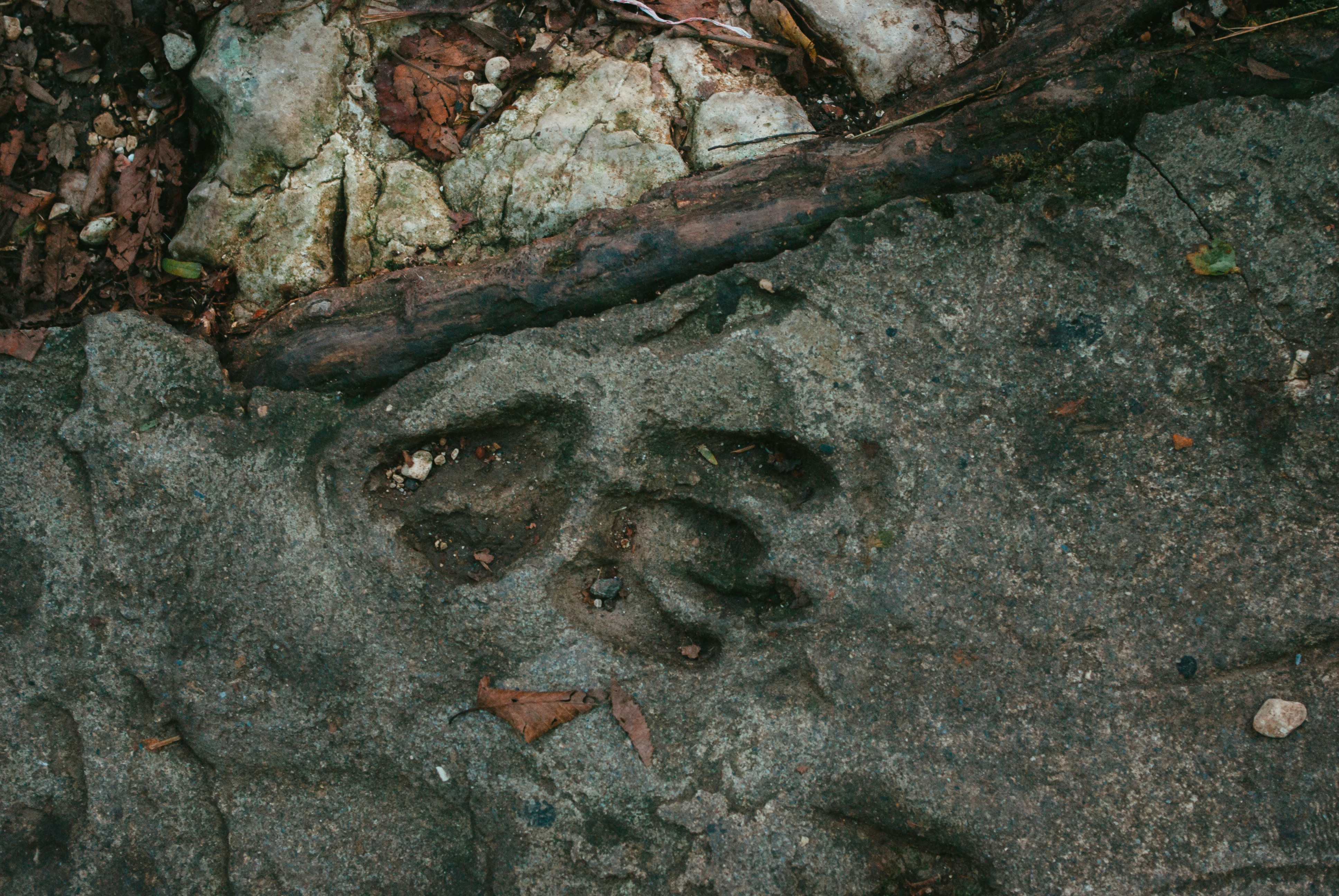Whispered Footprint: A Weathered Trace in Stone