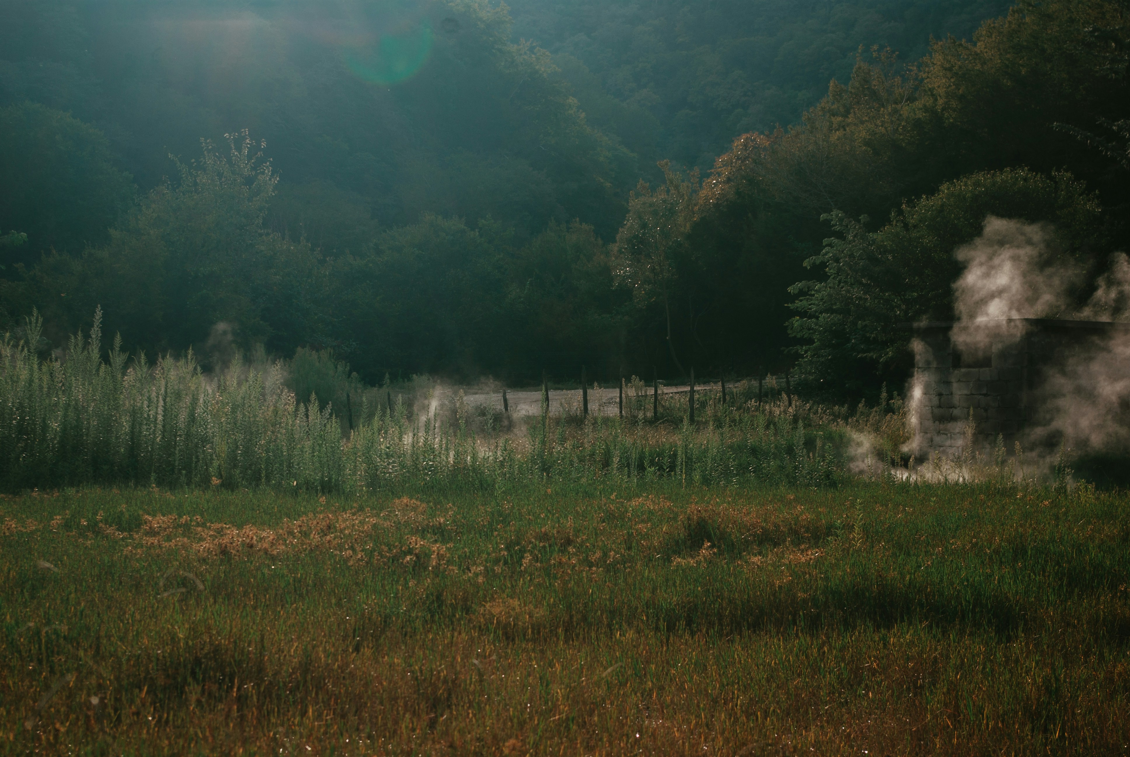Steam rises from the ground in a field photo – Free Nature Image on ...