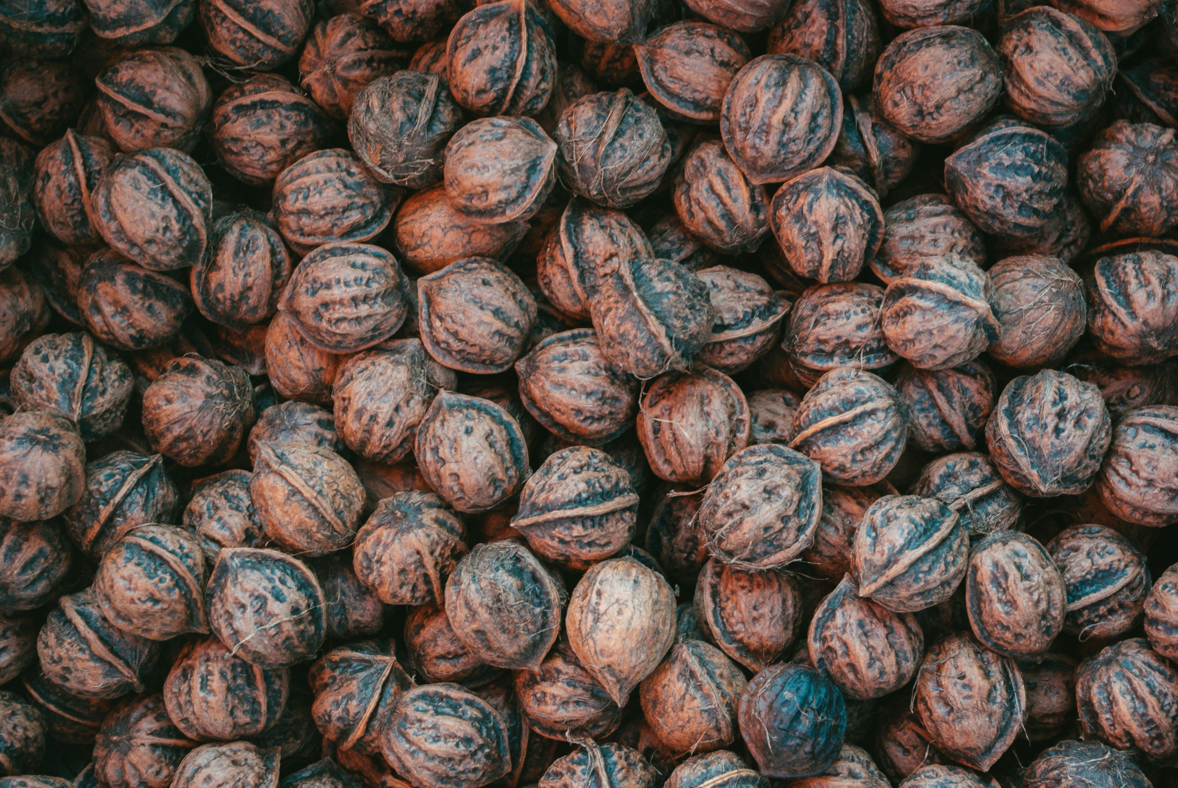 Rugged Harvest: Close-Up of Shelled Walnuts with Textured Kernels