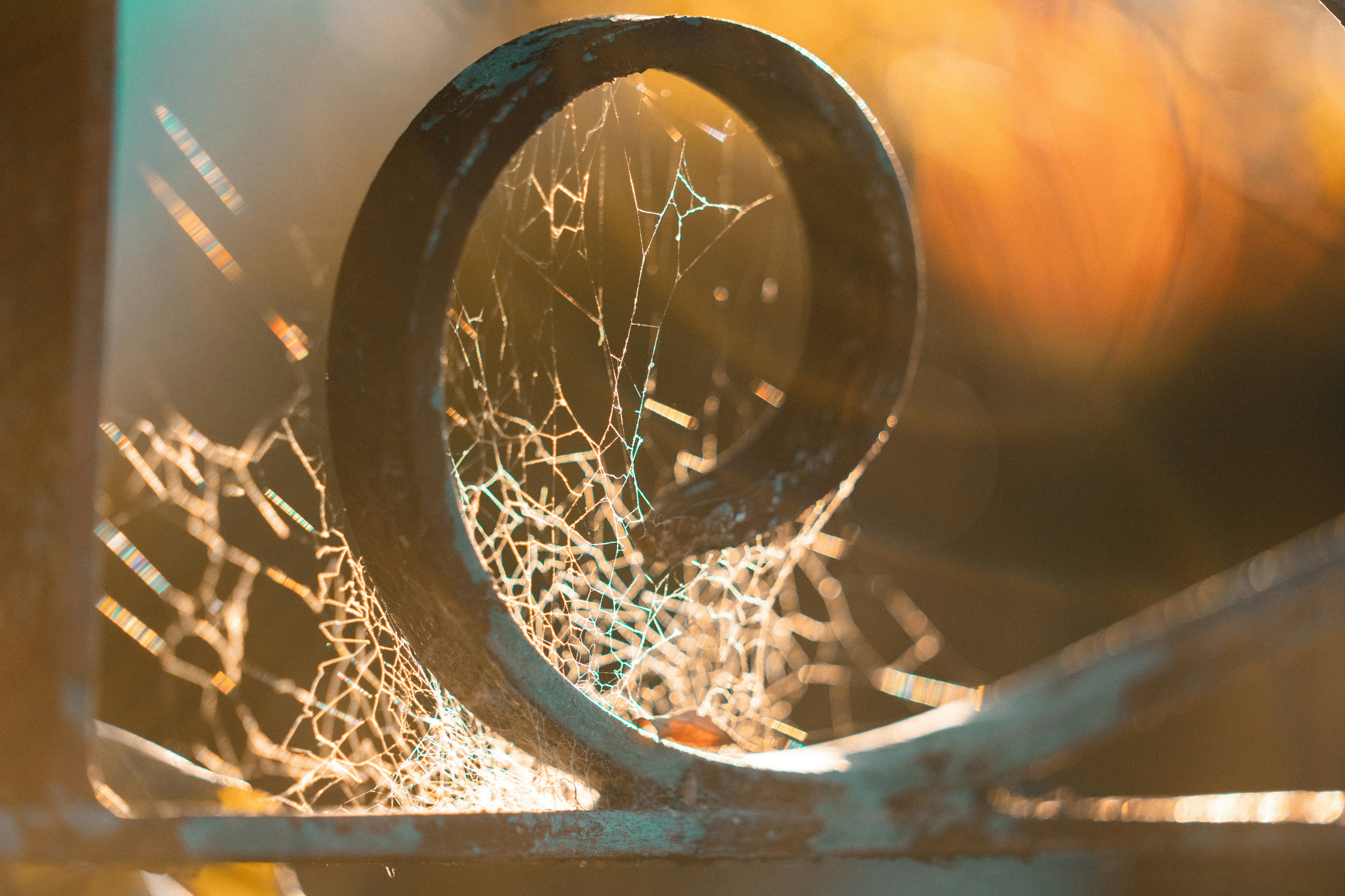 Cracked Ring in Warm Glow: Spiderweb Texture on Weathered Metal