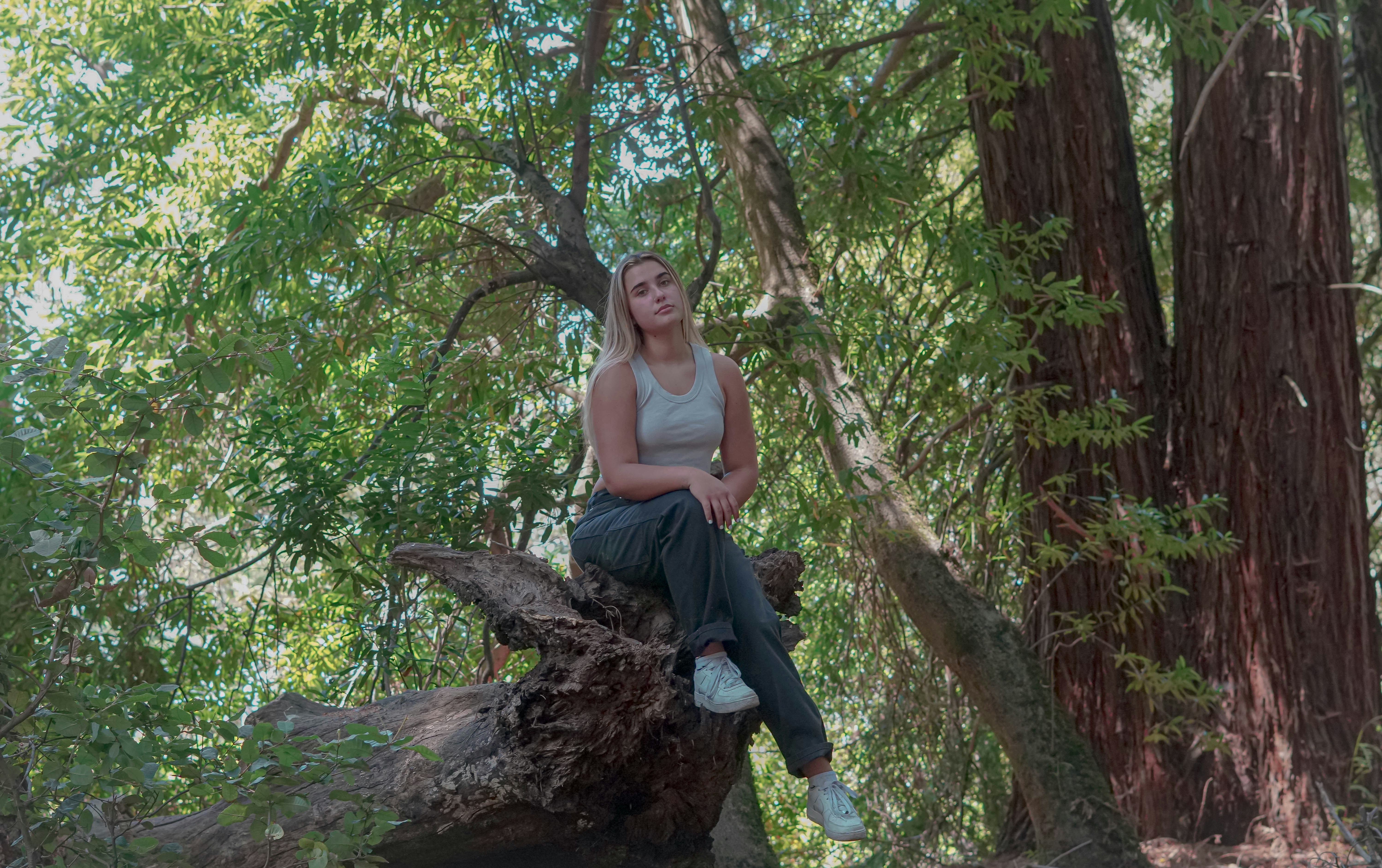 Serenity Amidst the Redwoods