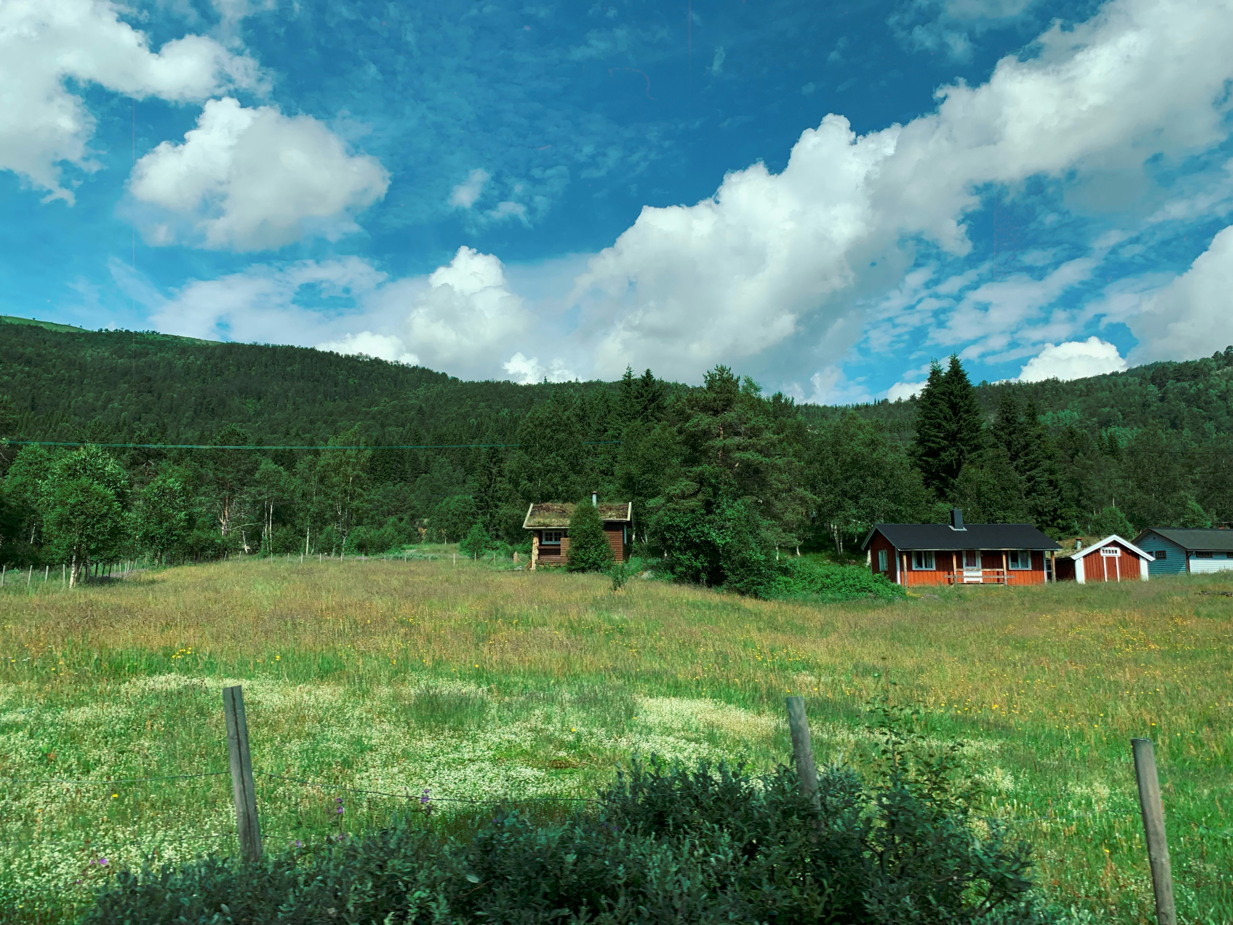 A grassy field with a house in the background photo – Free Nature Image ...
