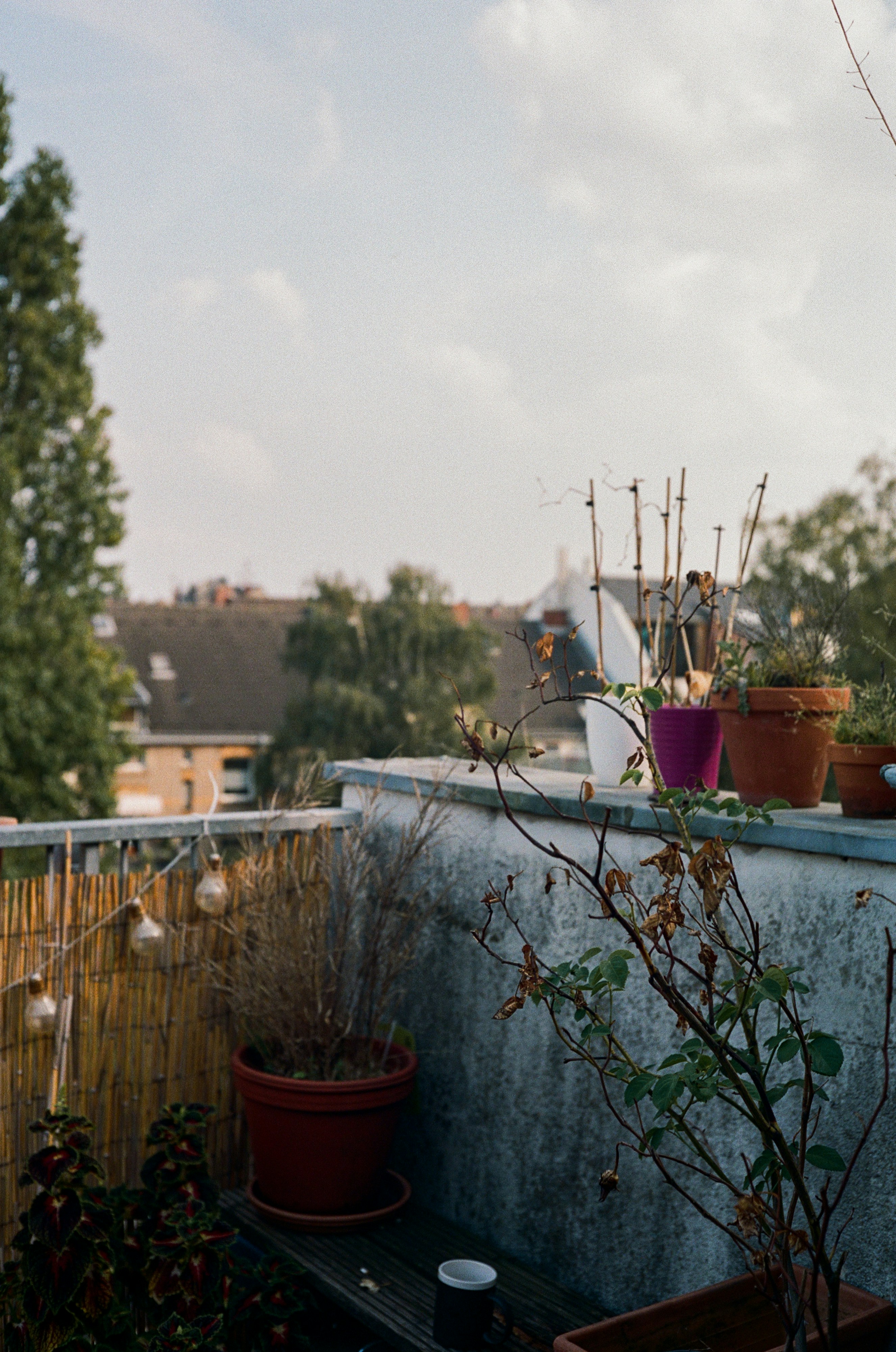 a balcony with potted plants on a sunny day