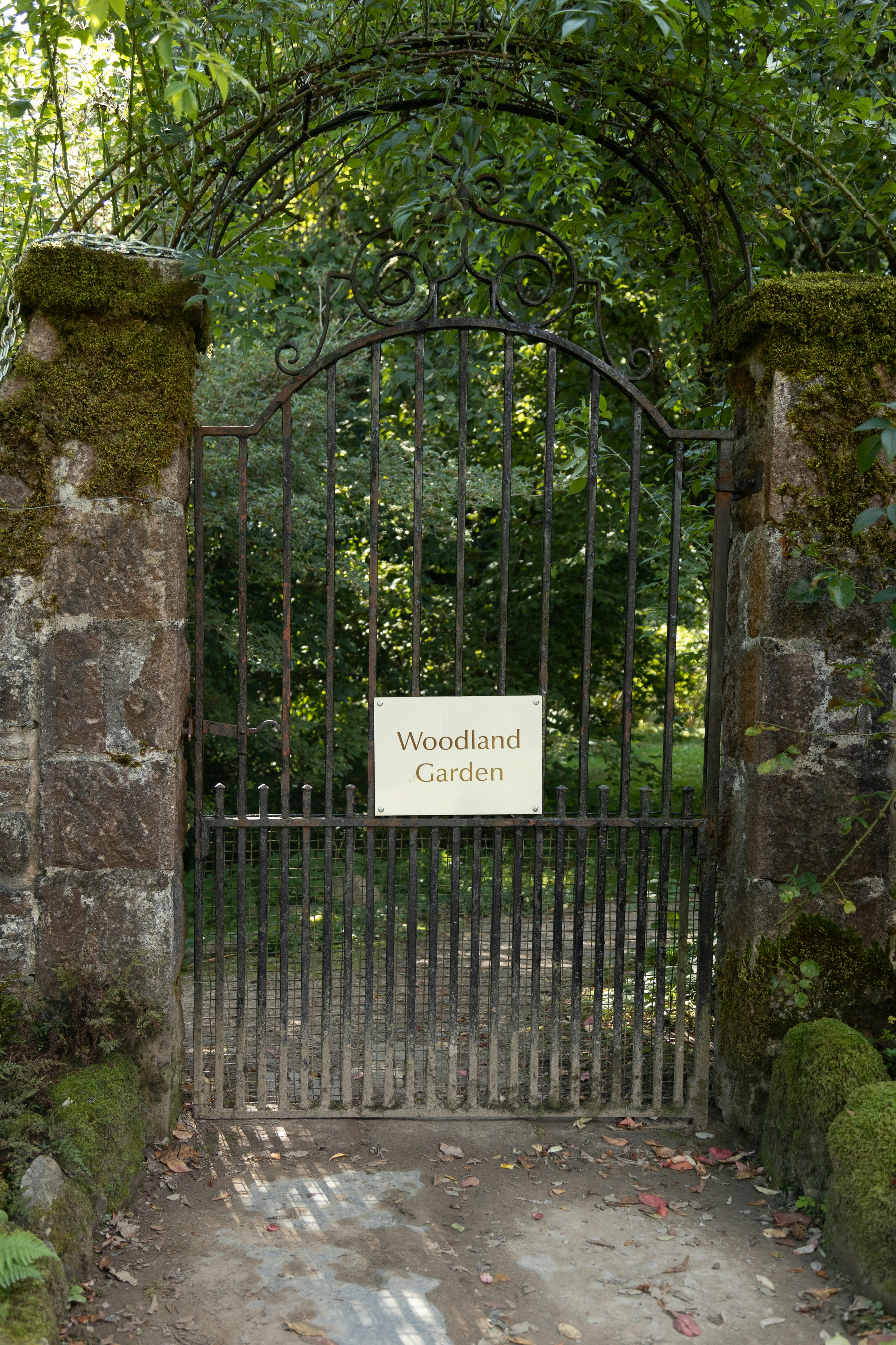 The gate to a woodland garden at Crathes Castle Gardens