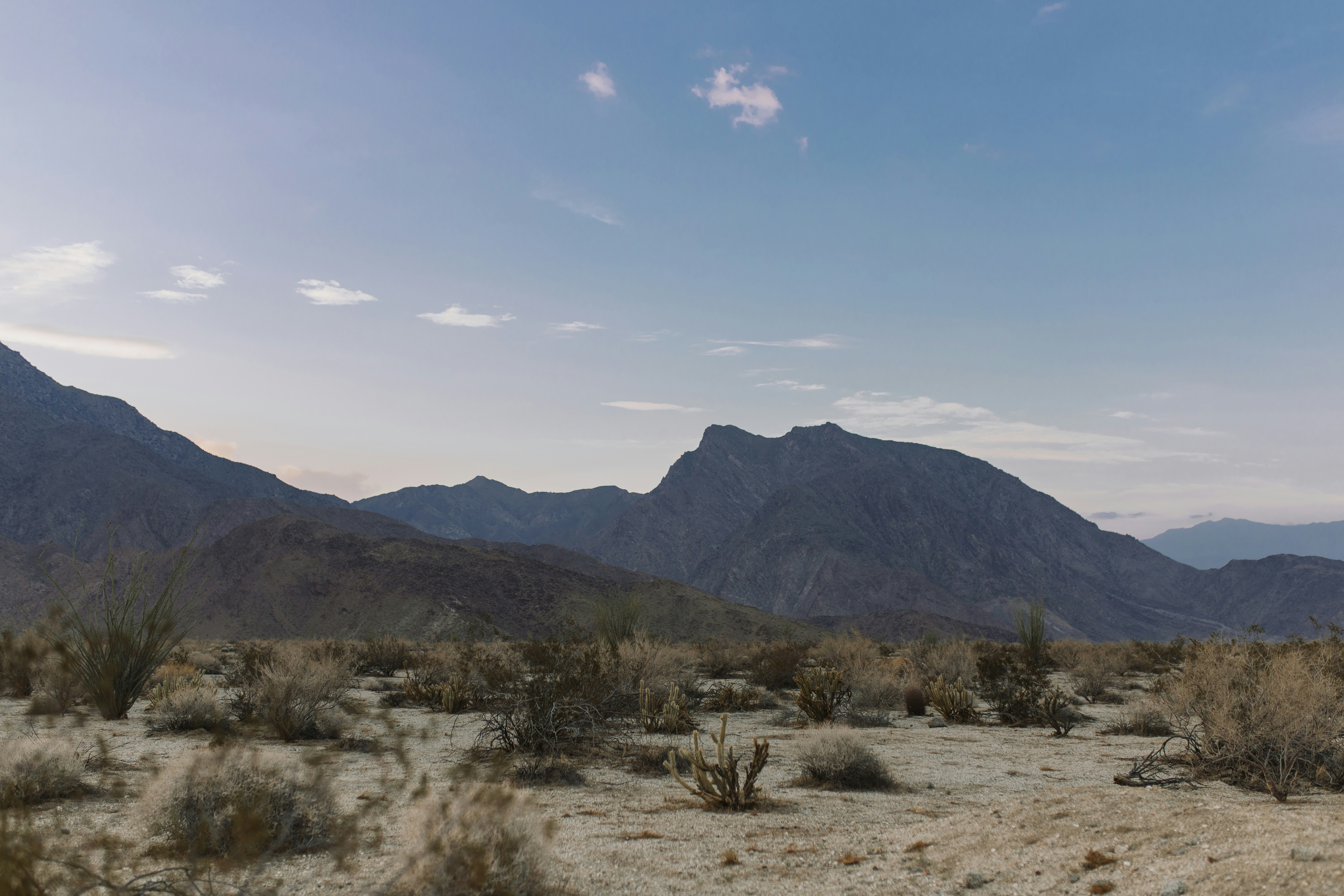 Vast desert landscape featuring rugged mountains under a soft blue sky, with sparse vegetation dotting the arid terrain.