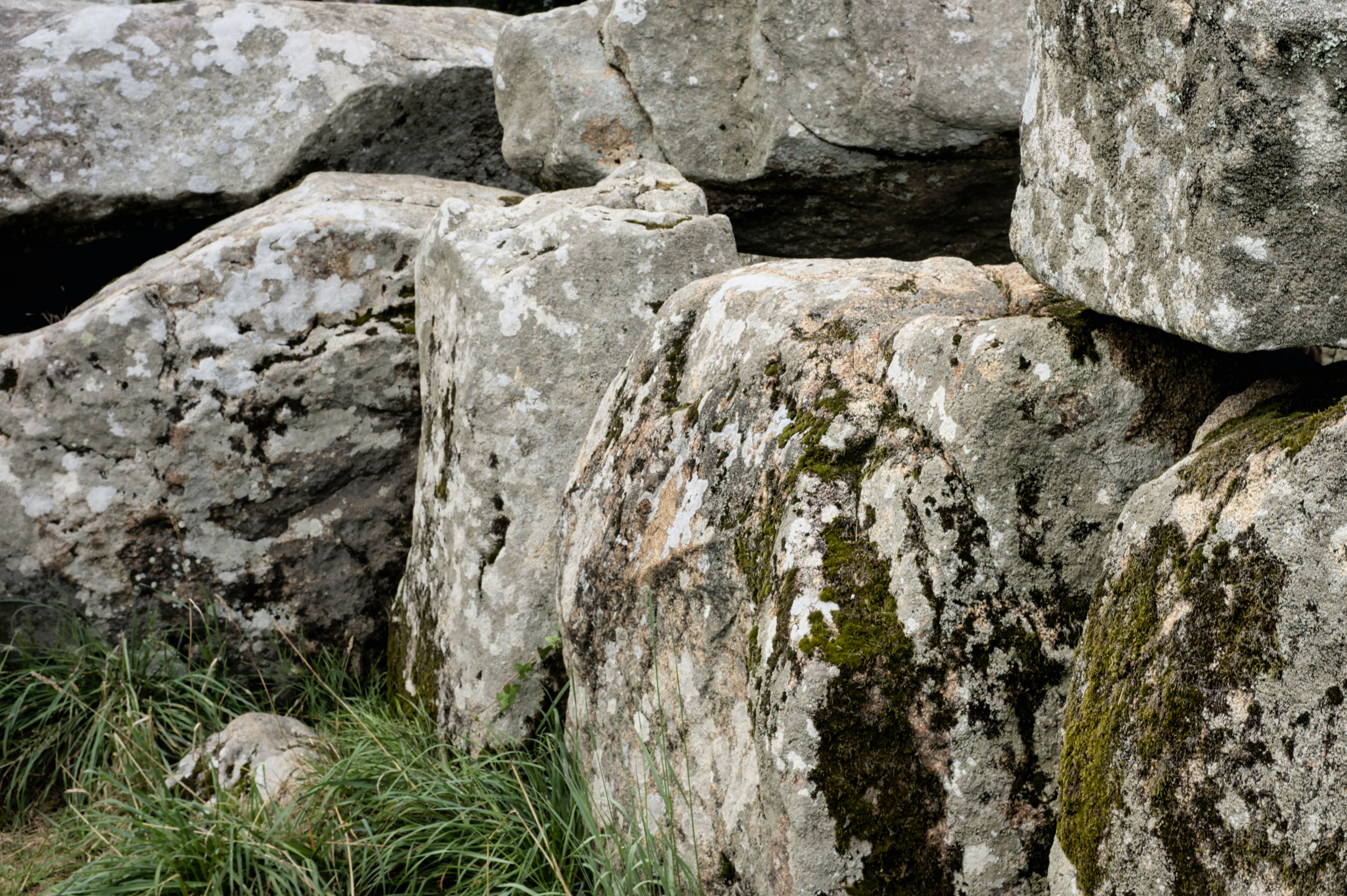 A bunch of rocks that are sitting in the grass photo – Free Carnac ...