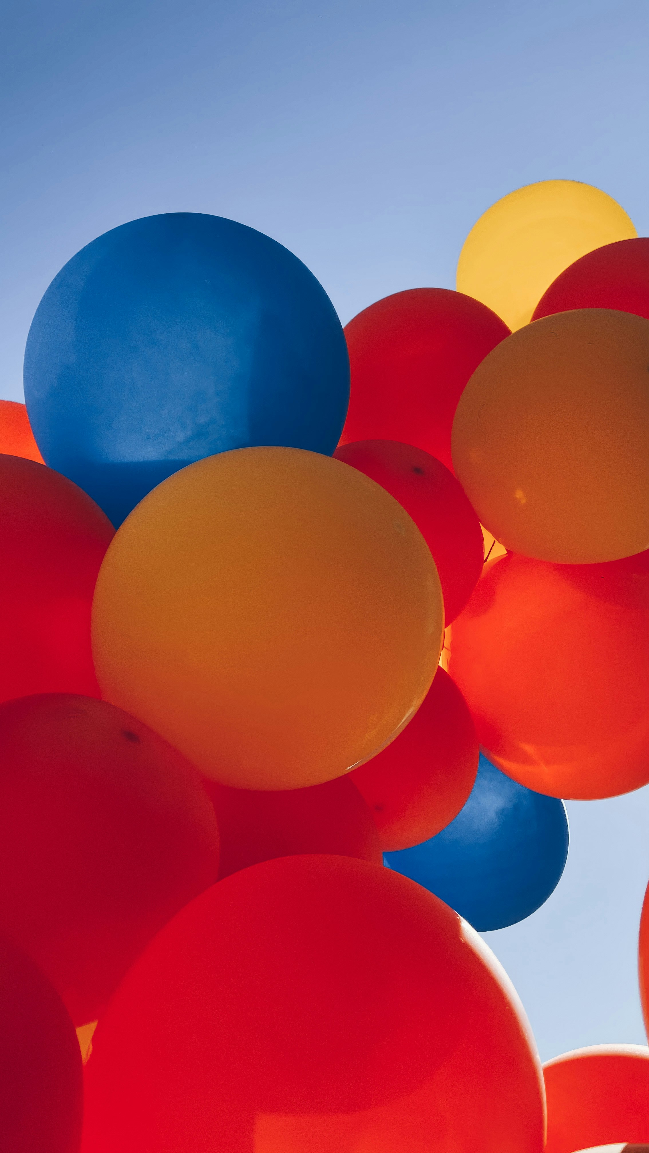 A bunch of balloons floating in the air photo – Free Balloon Image on ...