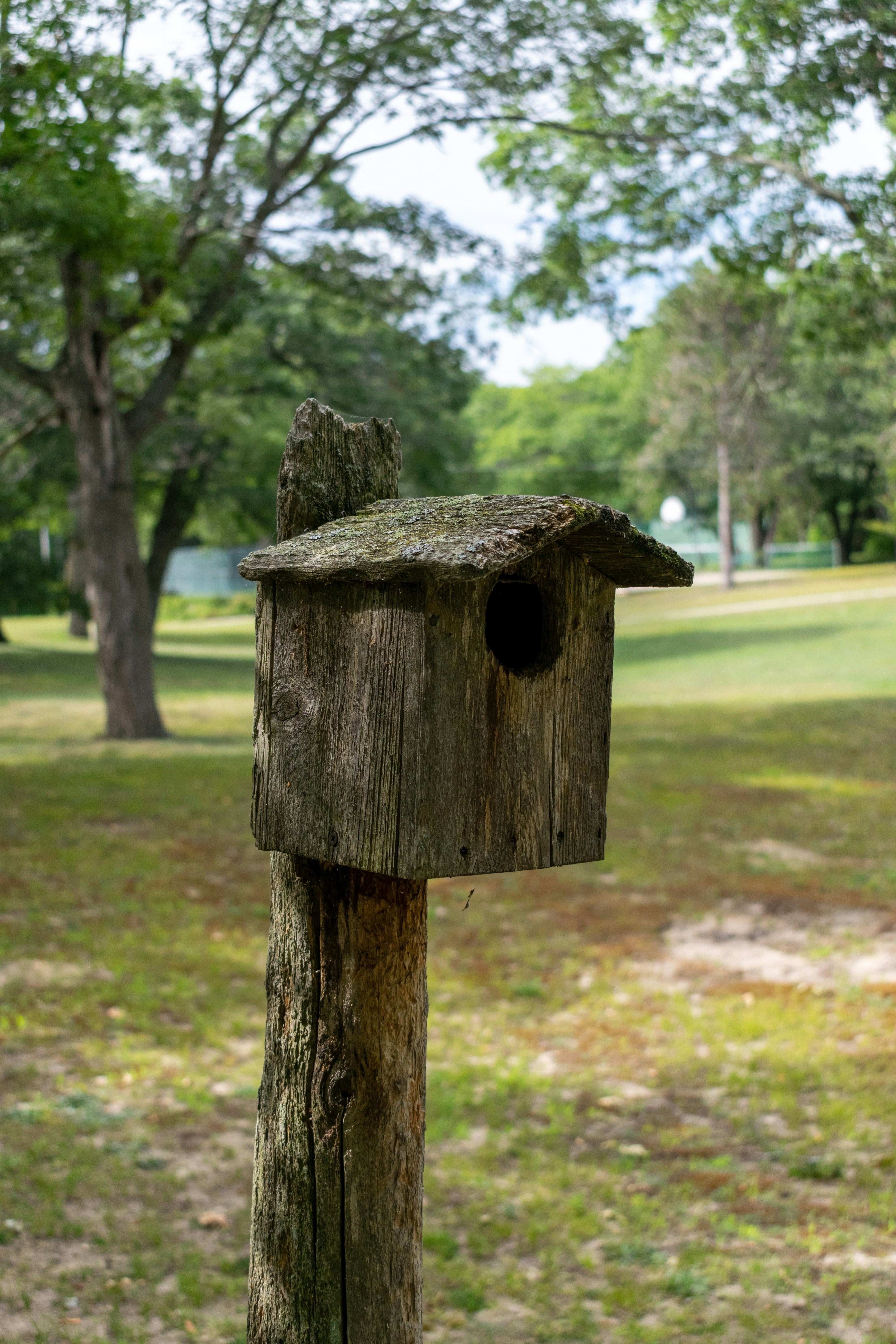 Weathered birdhouse on a sunlit park post
