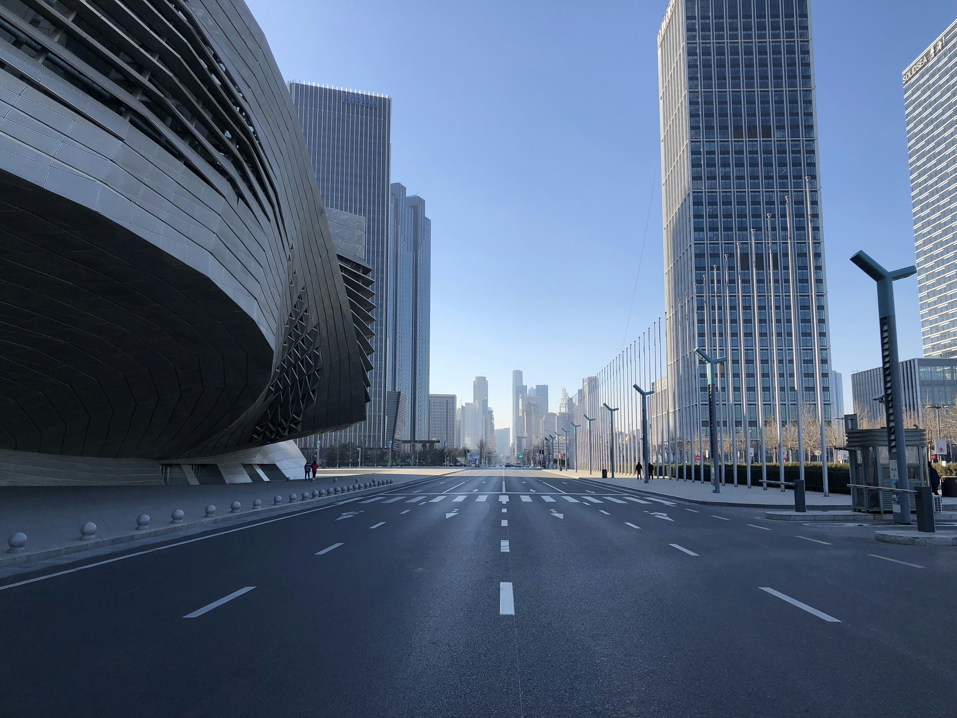 Horizon of Glass and Steel: A Quiet Boulevard to the Sky