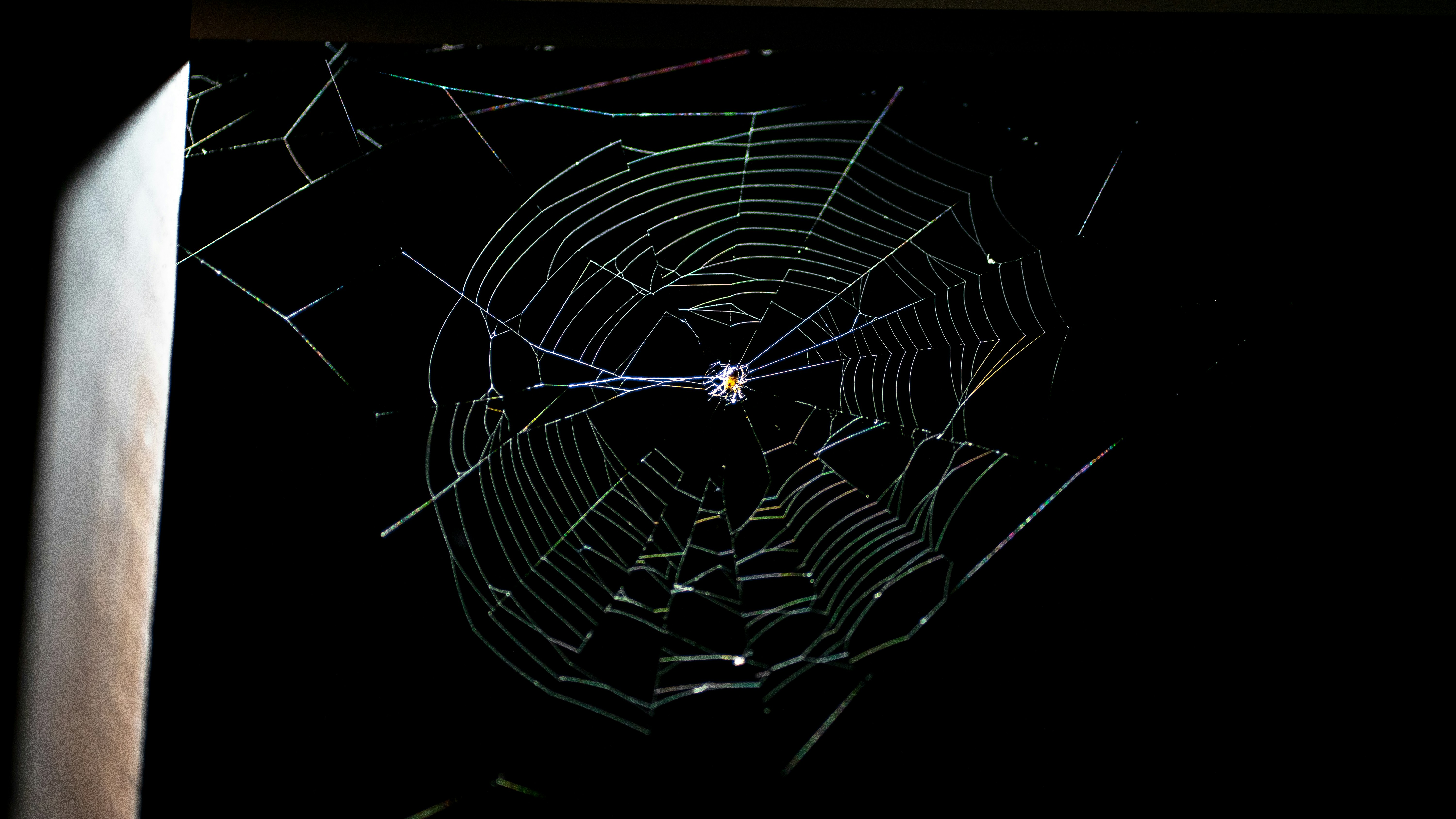 A spider web in the middle of a dark room photo – Free Spiderweb Image ...
