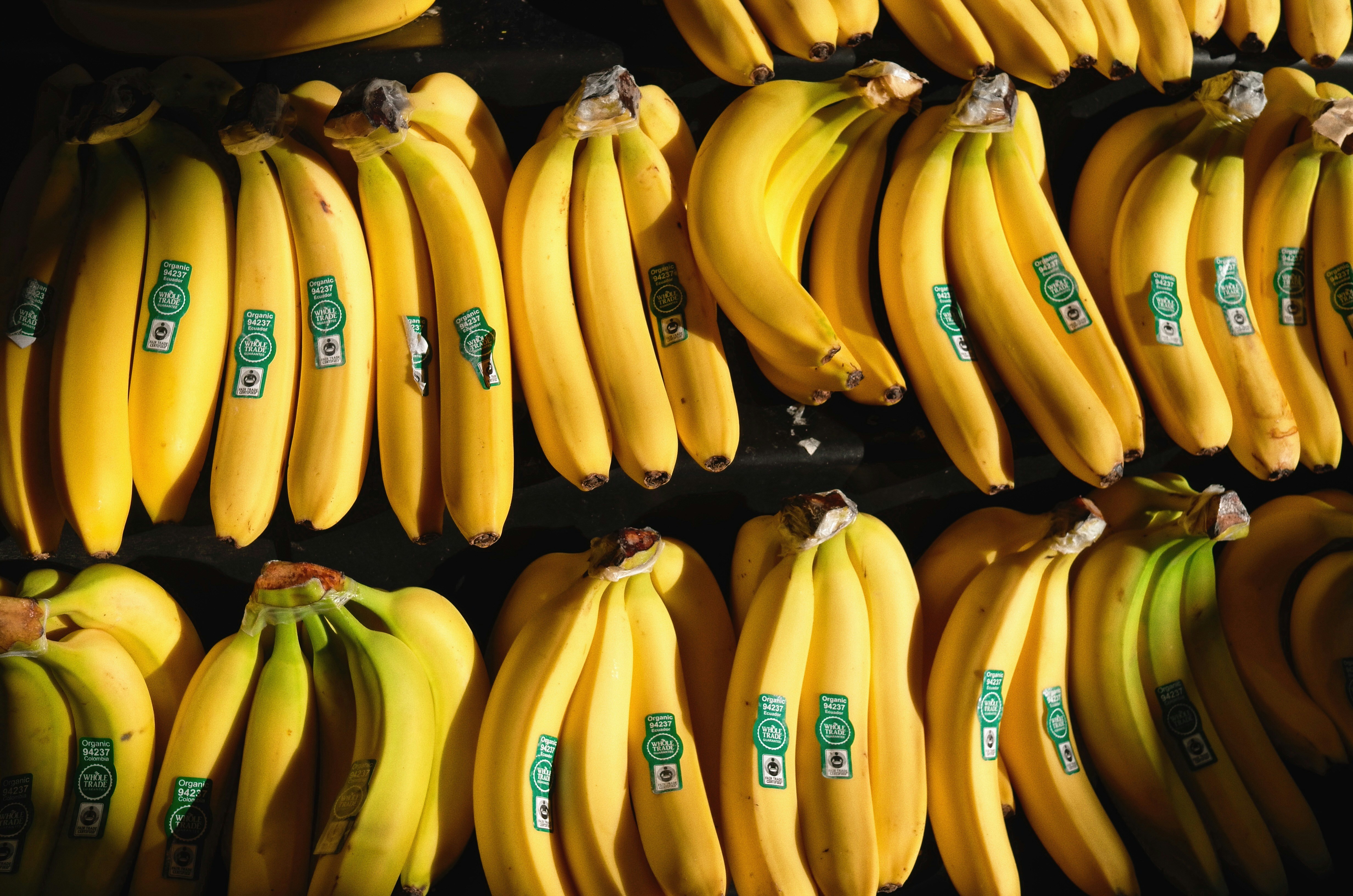 Foto Un montón de plátanos maduros están en exhibición – Imagen Planta gratis en Unsplash