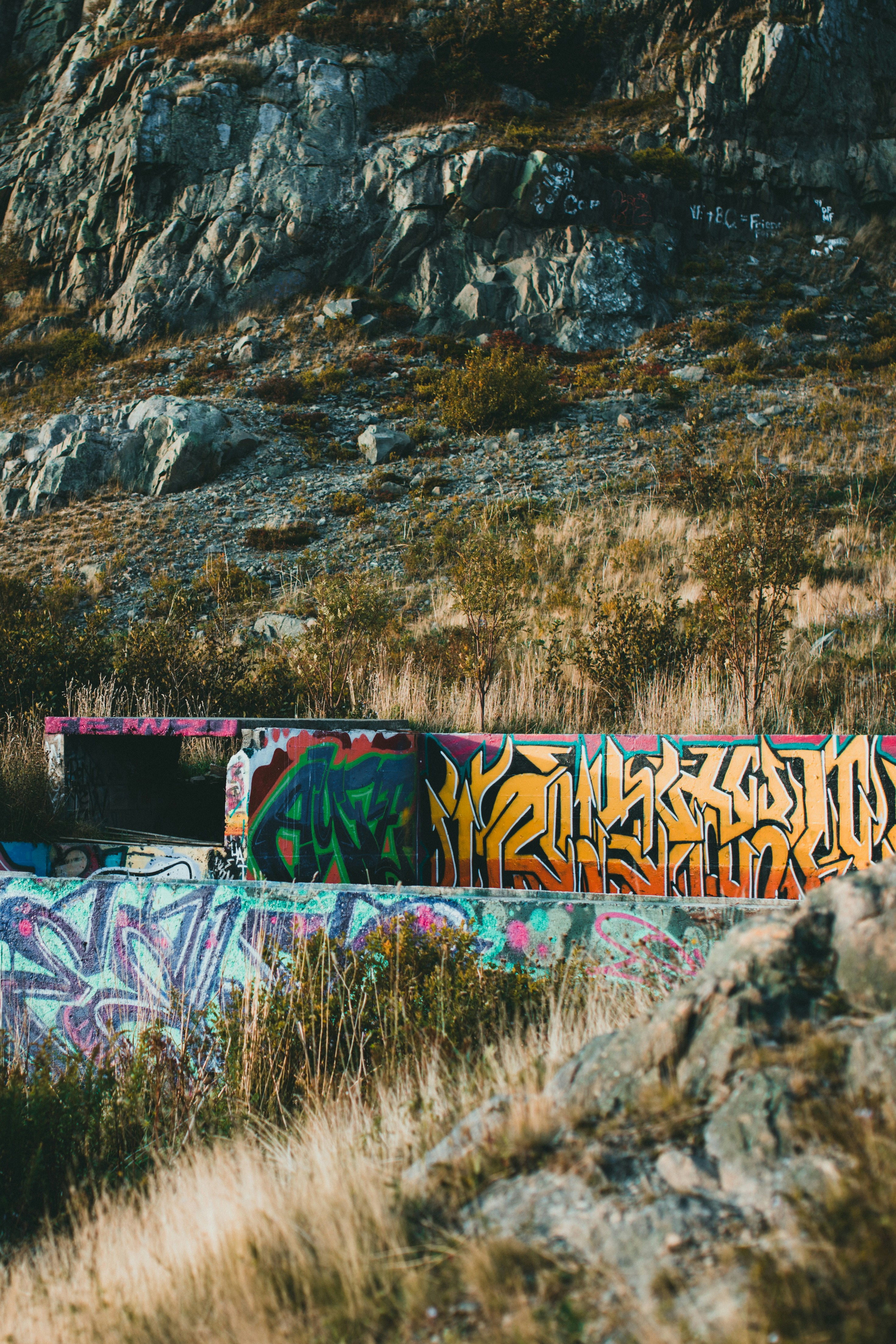 a man riding a skateboard down a hill covered in graffiti