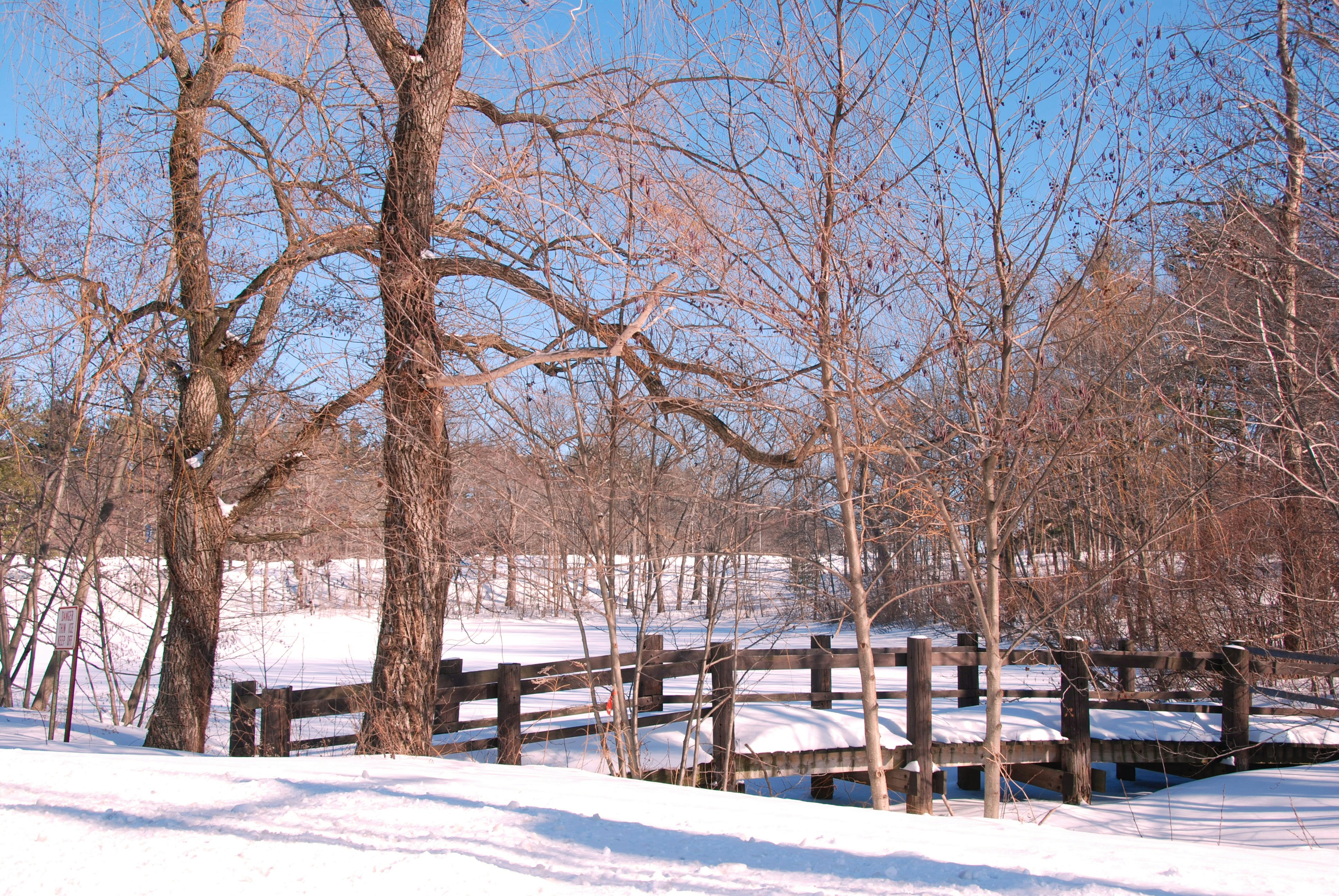 Wooden bridge spans a snow-covered field framed by bare trees under a clear blue sky.
