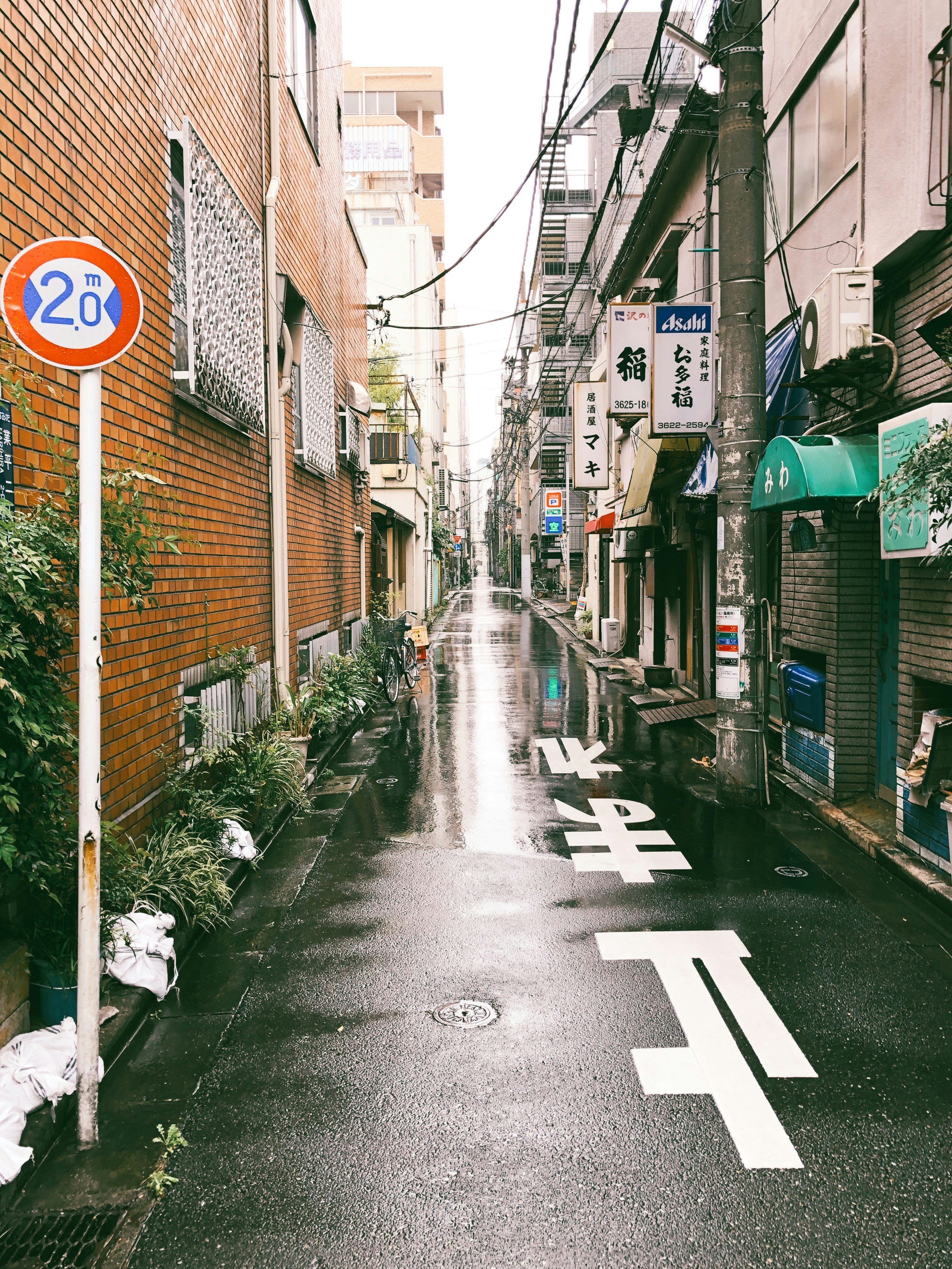 Rain-Slick Alley Toward the Horizon
